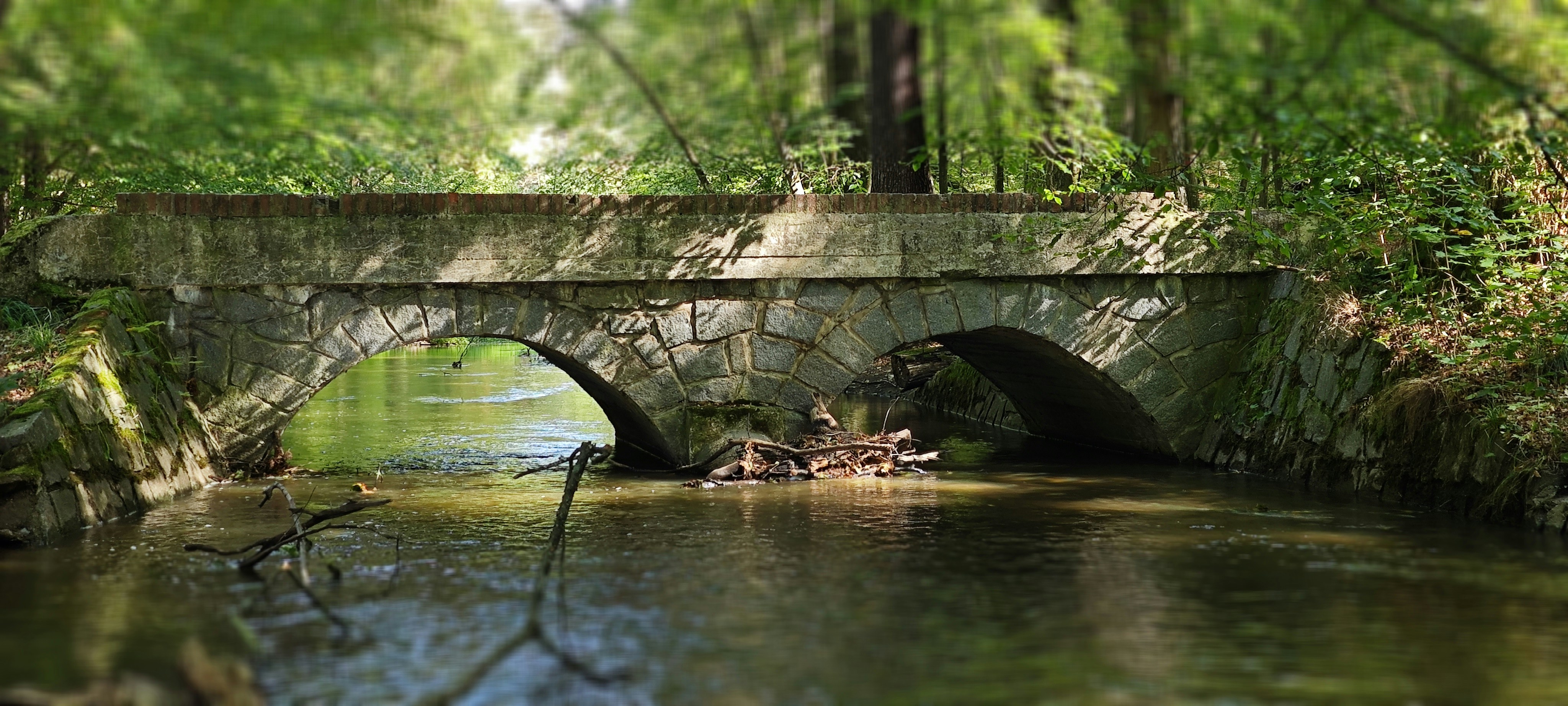 Dappled Light on a Forest Stone Arch Spanning a Quiet Stream