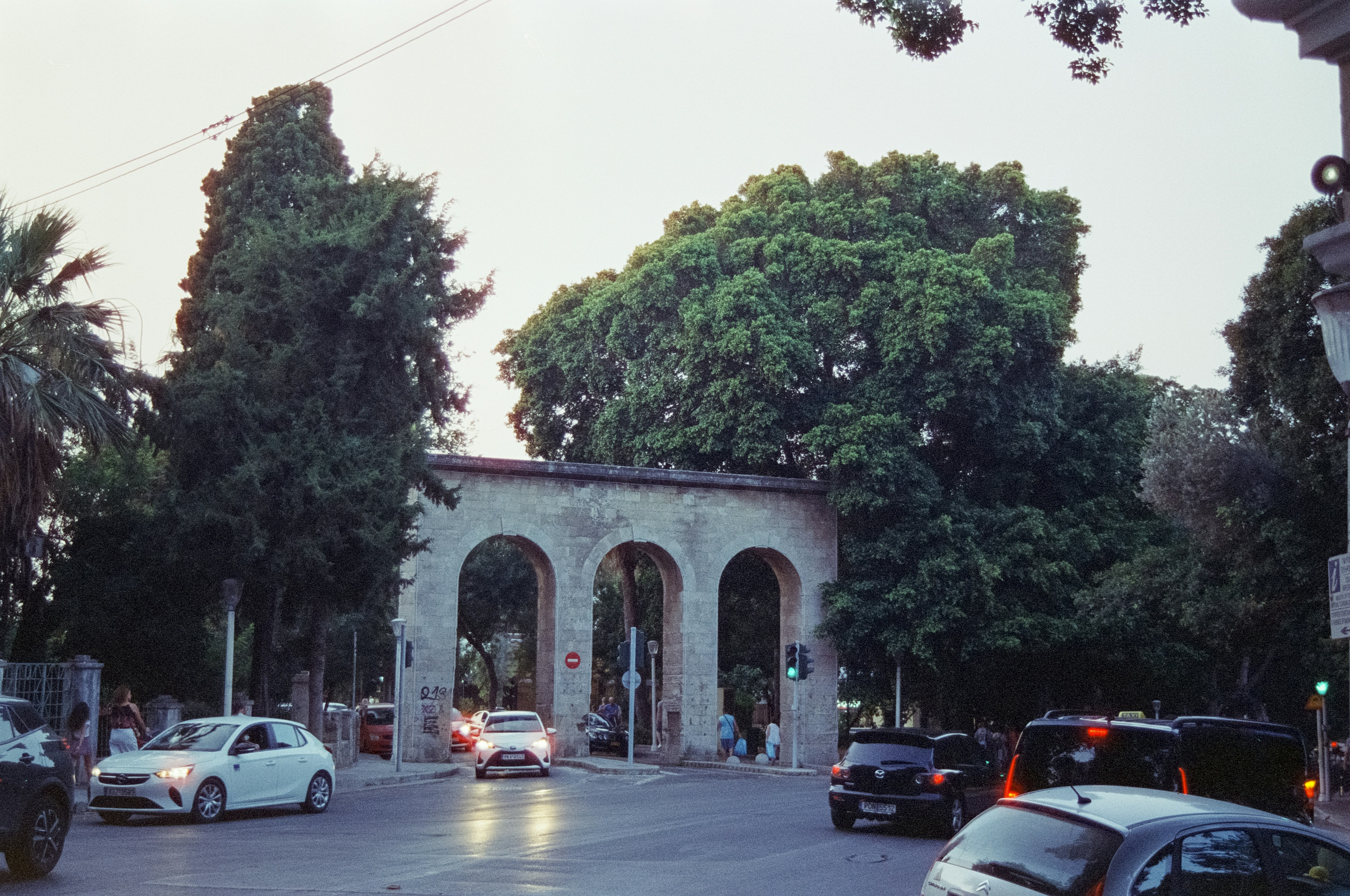 Urban Gateway Amid Verdant Canopy