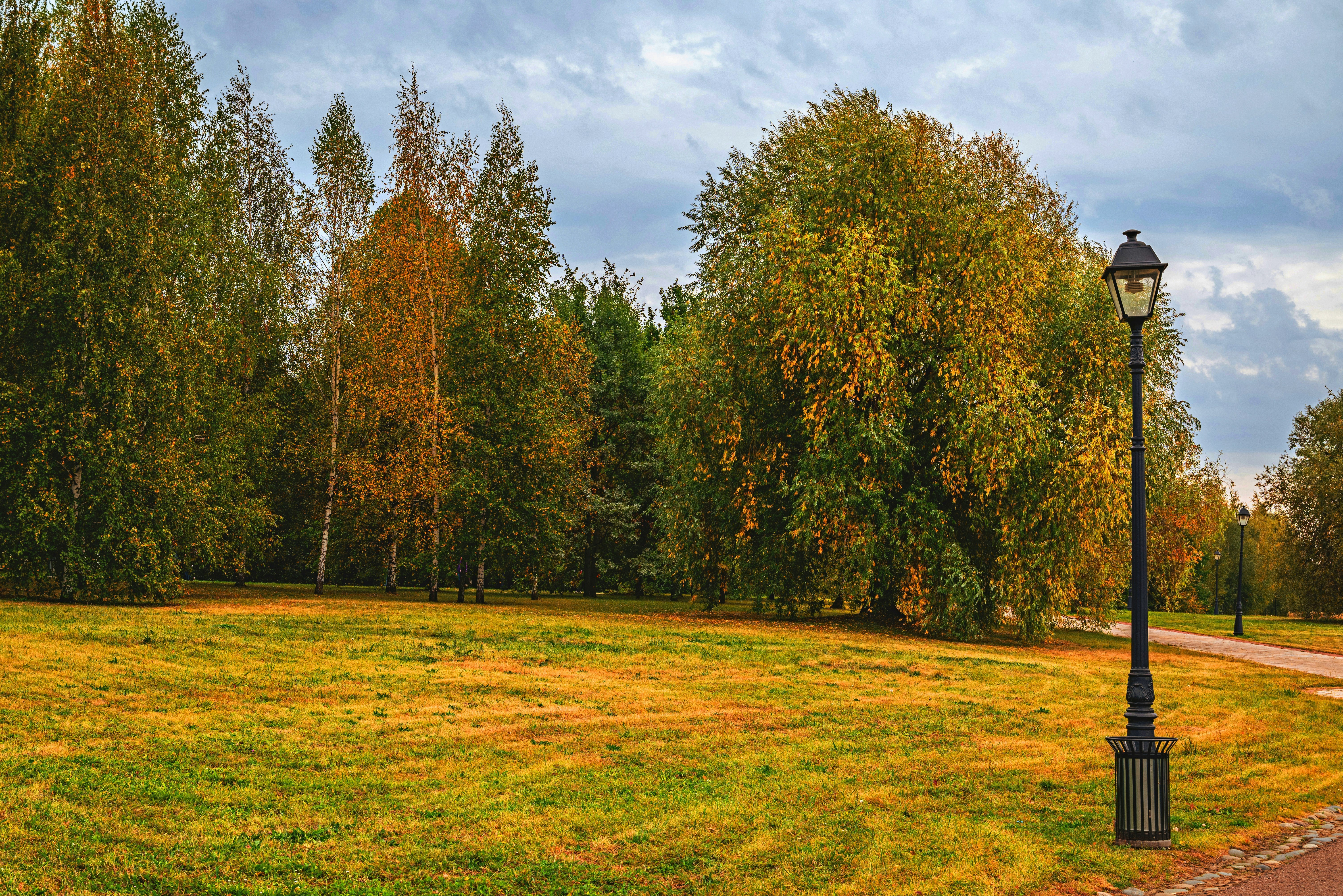 A grassy field with a street light in the middle of it photo – Free ...