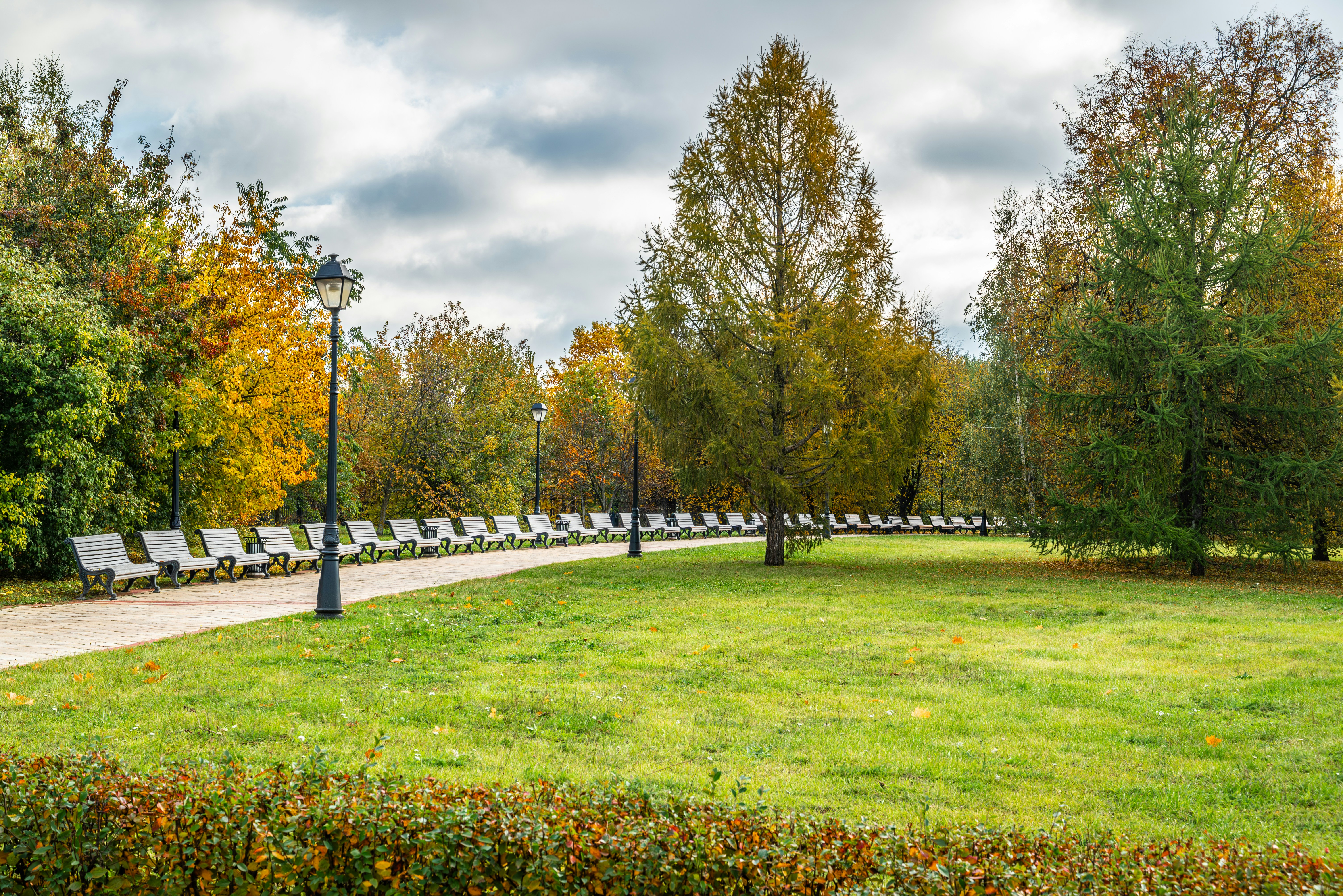 A grassy area with benches and trees in the background photo – Free ...
