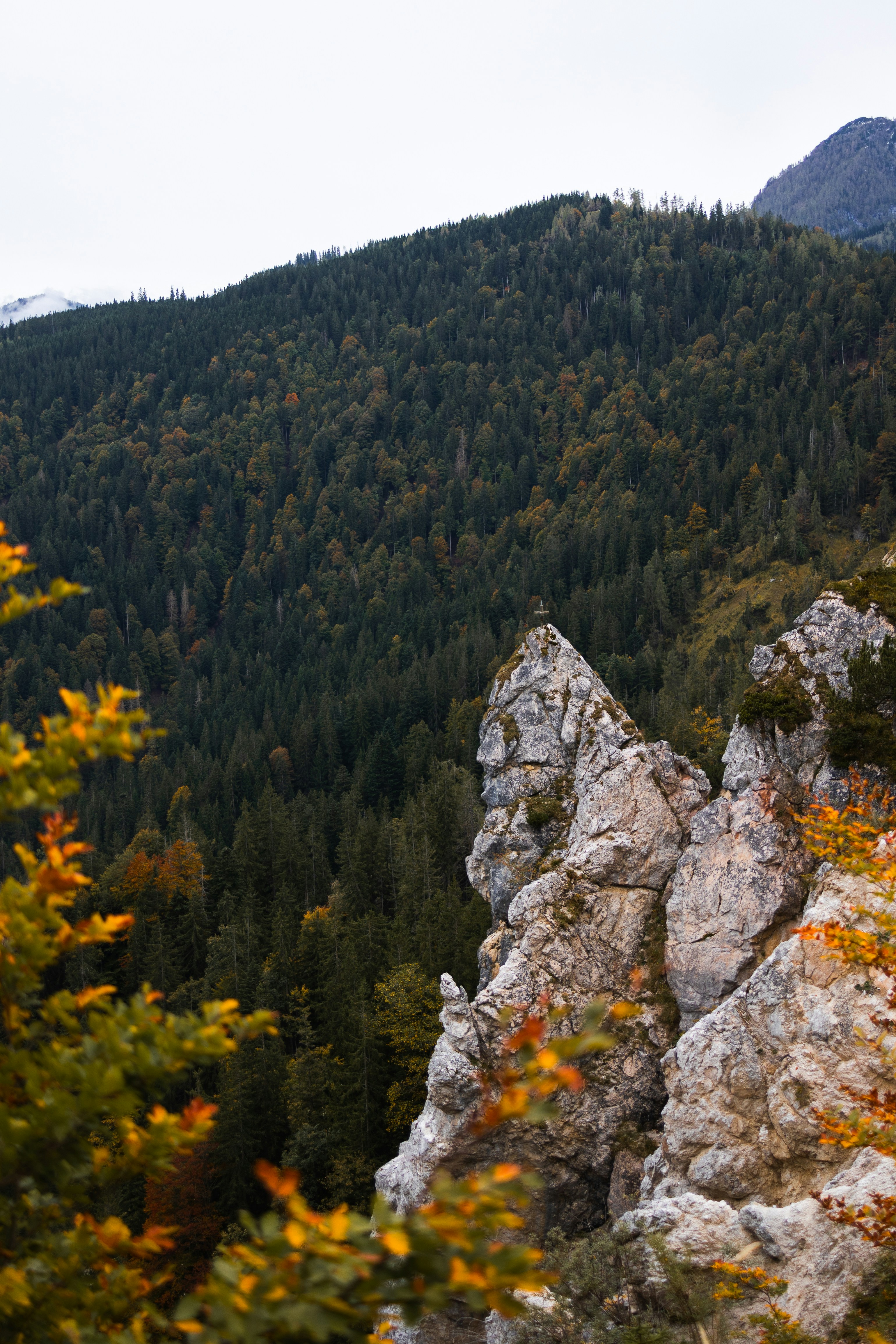 Granite Sentinels Over a Velvet Autumn Forest