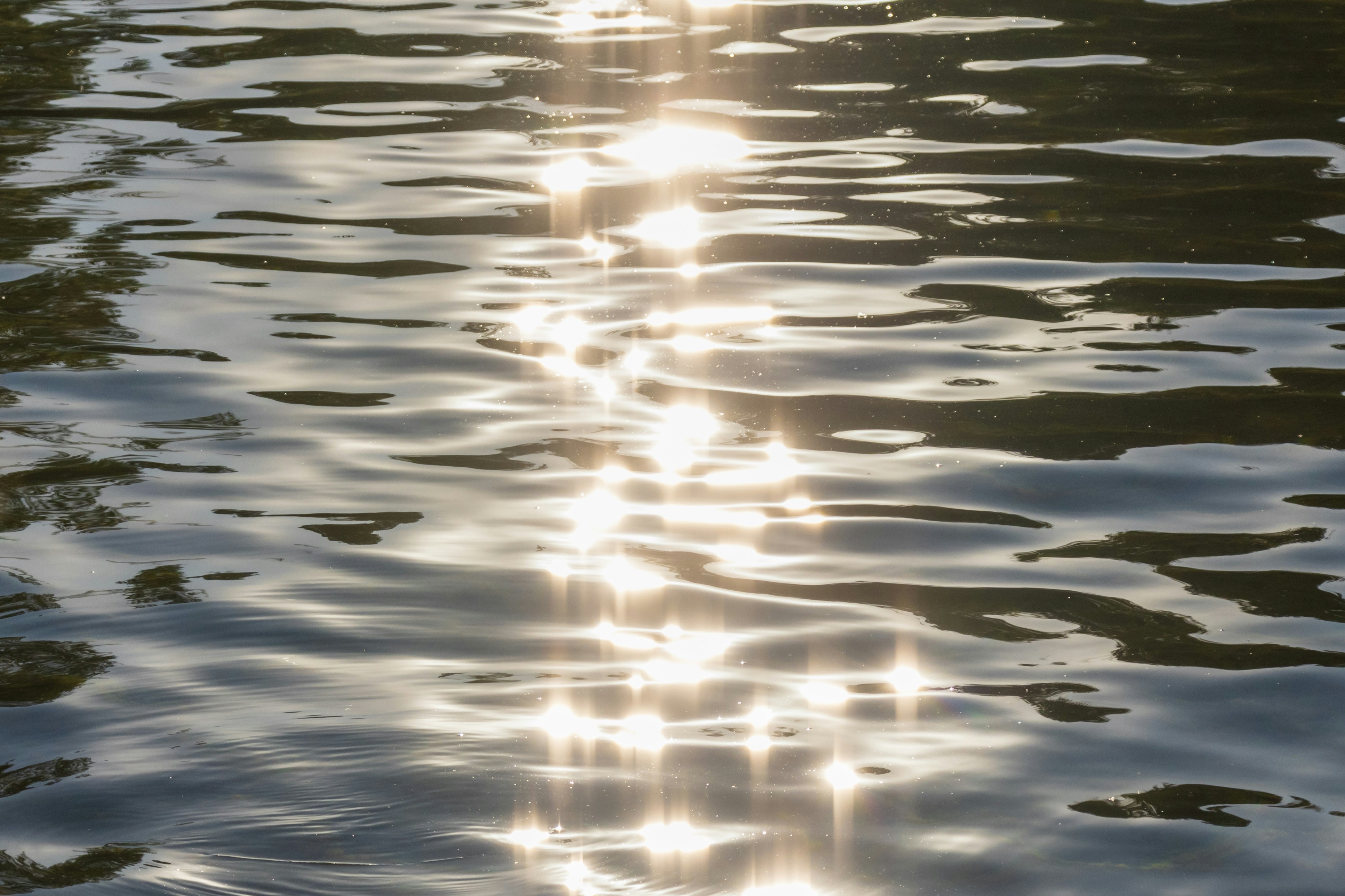 Le reflet du soleil sur l’eau photo – Image gratuite de Bucuresti sur ...