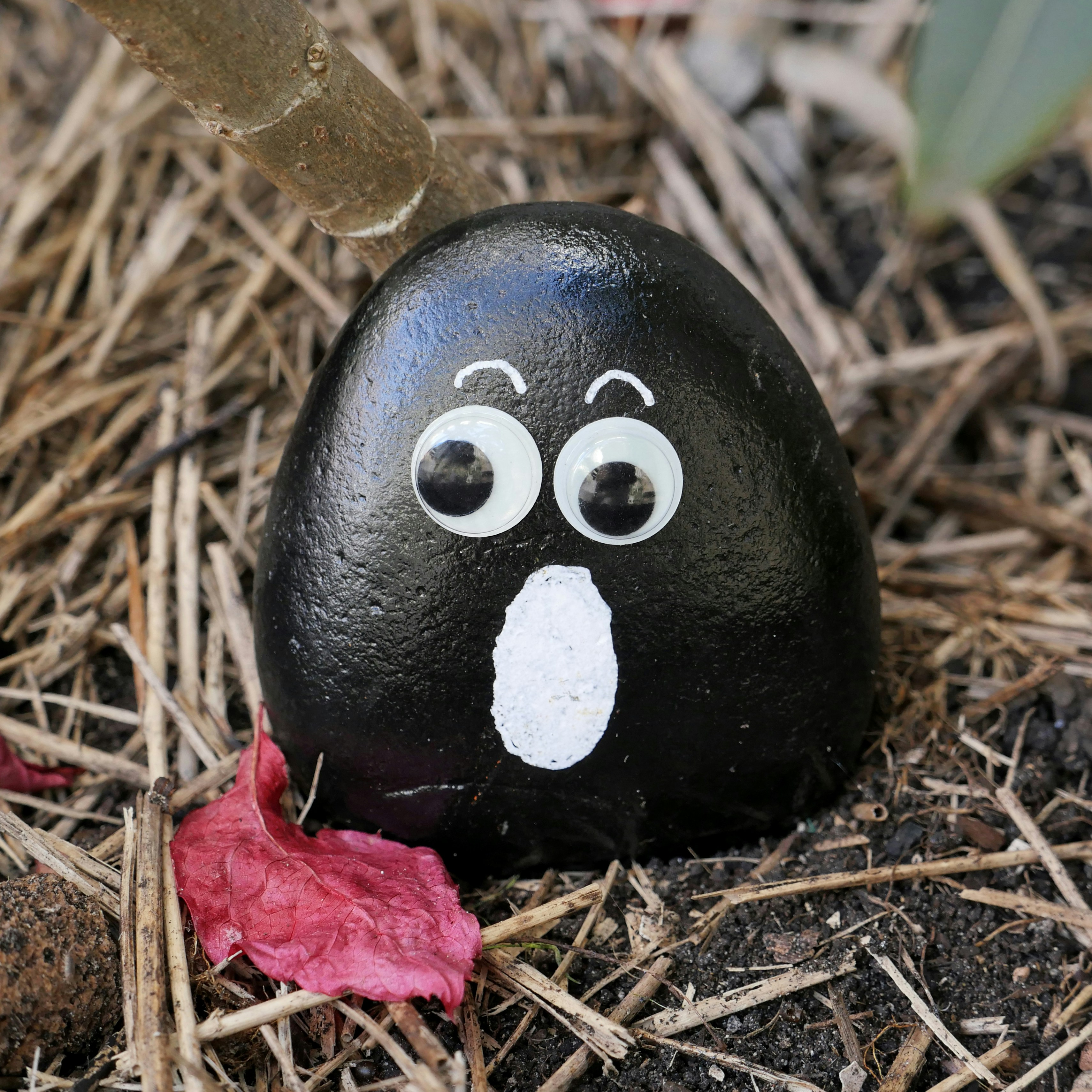 Stone Cartoon Pictures | Download Free Images on Unsplash