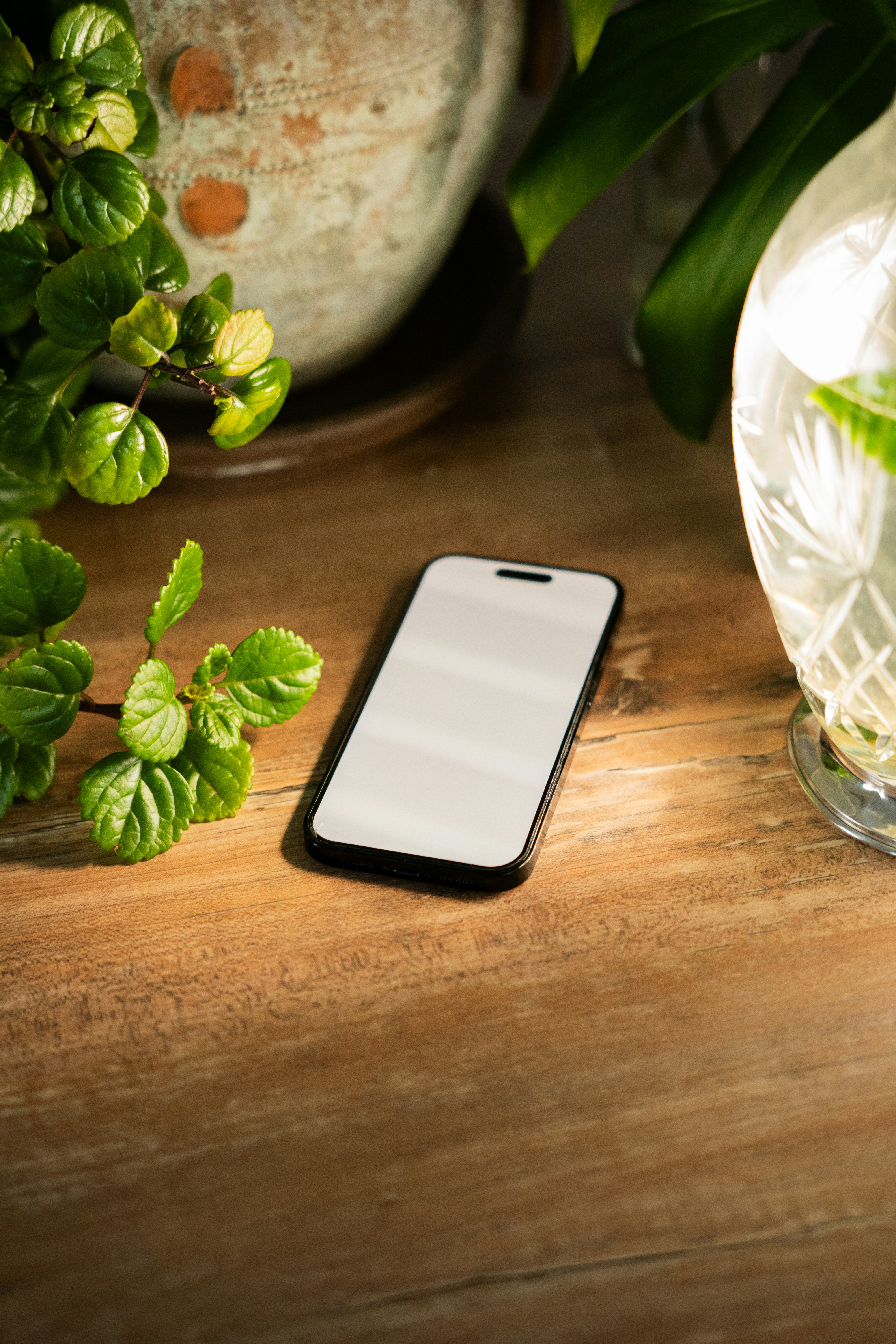Sunlit Desk Still Life: Smartphone Among Greenery and Glass