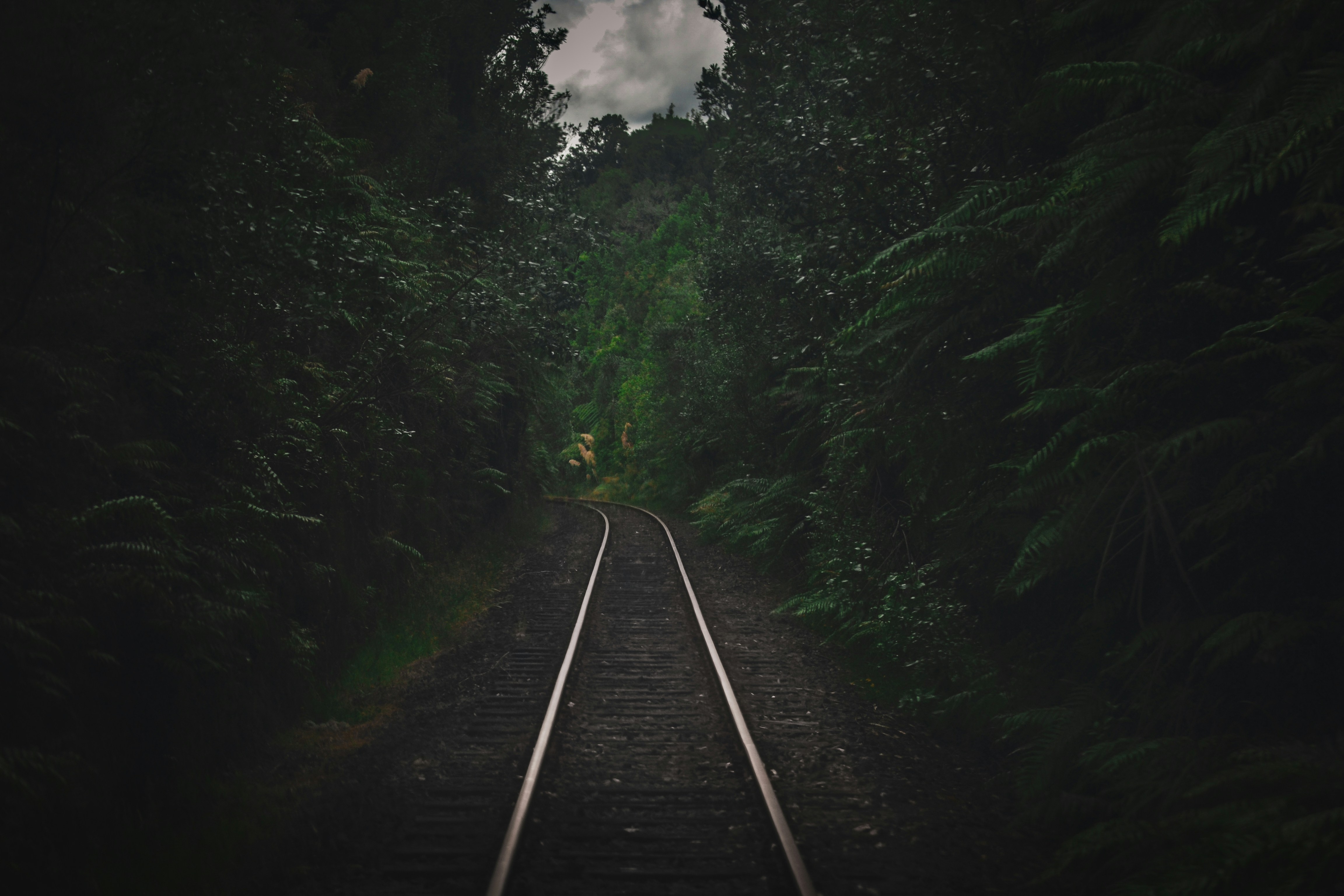 This photo portrays a quiet railway track cutting through a dense forest. The tracks curve gently into the distance, flanked by an abundance of greenery, including ferns and trees that seem to enclose the path. The lighting is subdued, with the forest canopy casting shadows, creating a peaceful and slightly mysterious atmosphere. A patch of light in the background hints at an open clearing or the end of the tunnel-like forested path, adding depth and intrigue to the composition. The scene feels serene yet invites a sense of exploration.