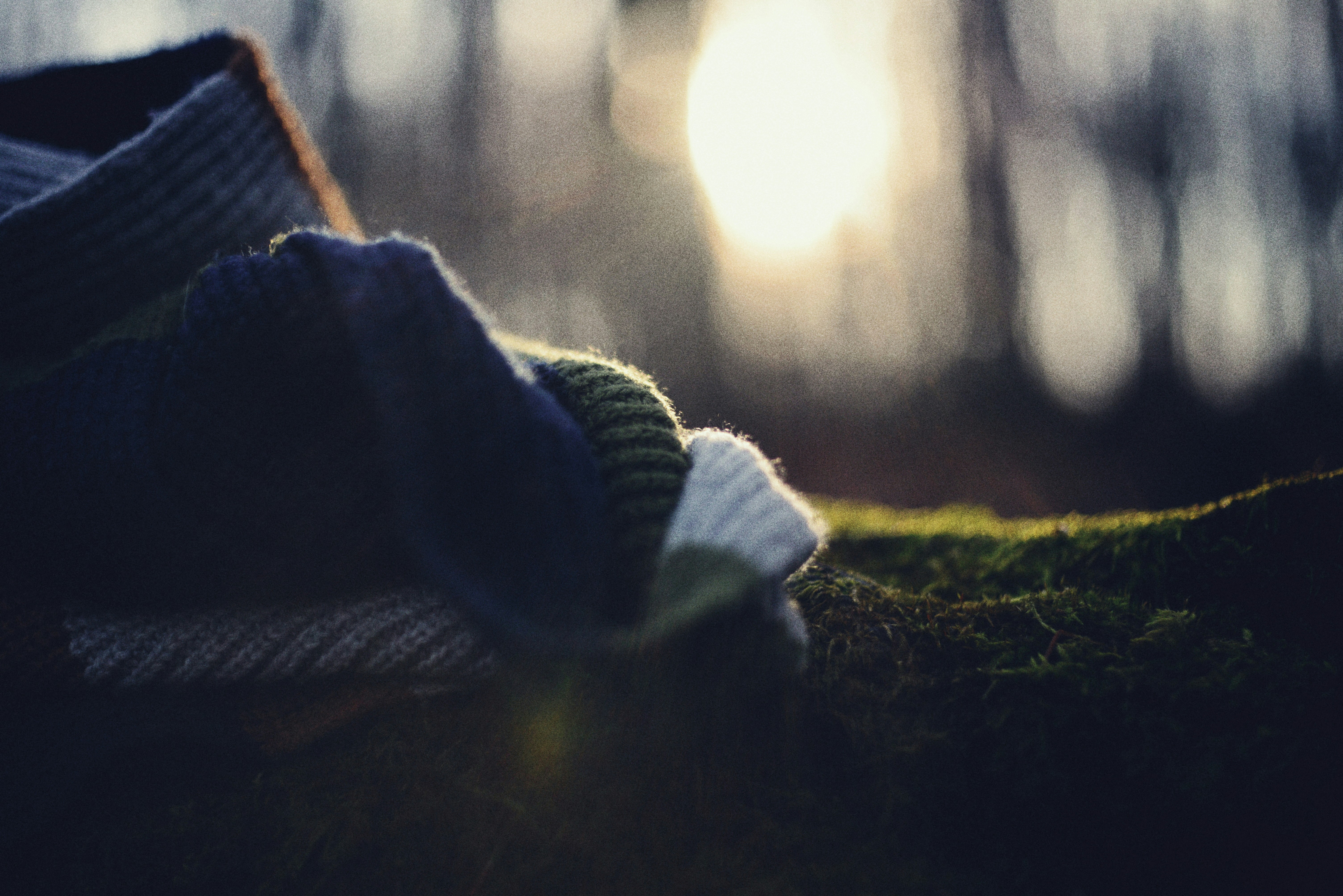 A Quiet Wake: Wool and Dusk on Moss