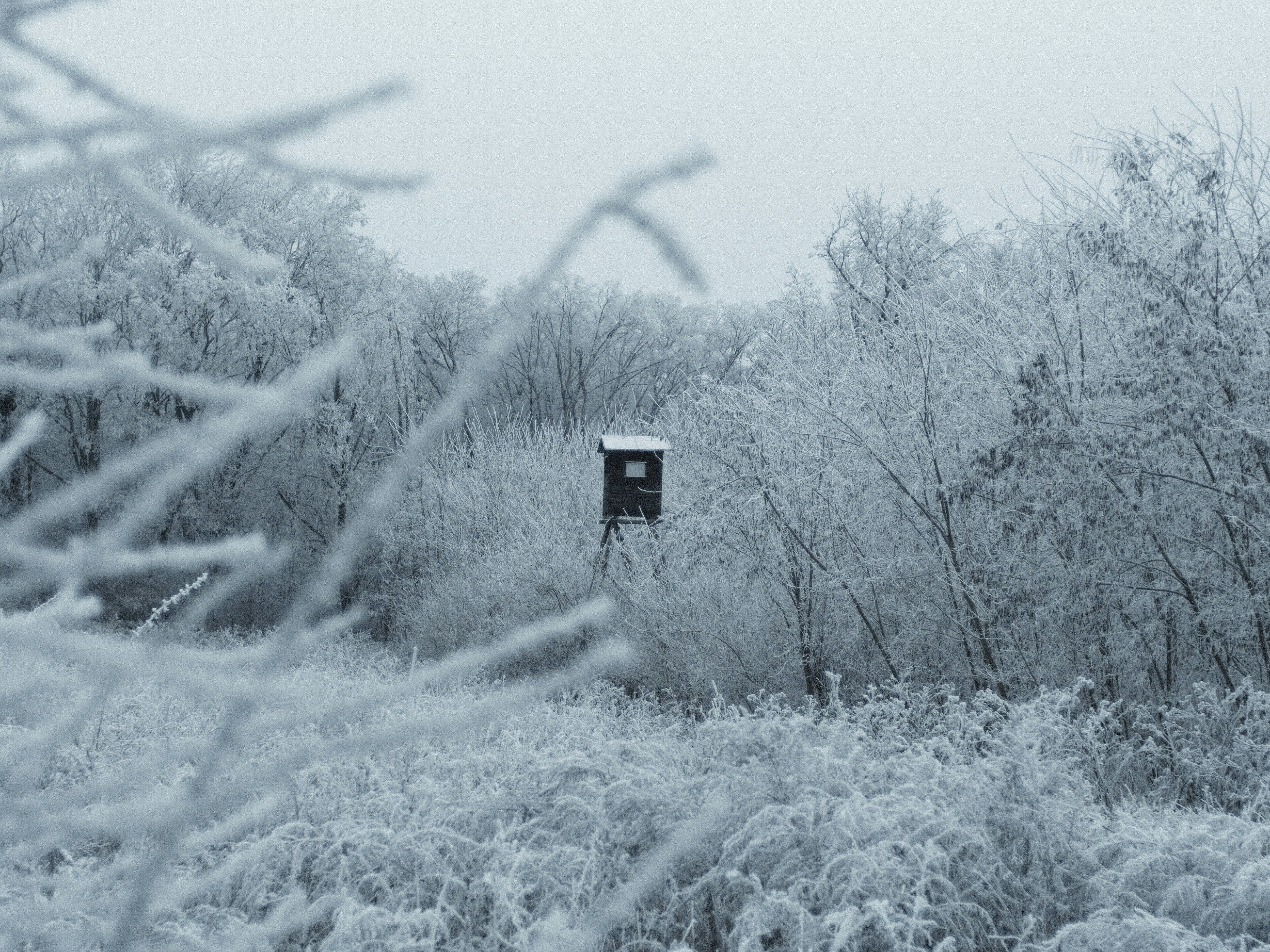 Photo by JKalina with Fujifilm X-S20