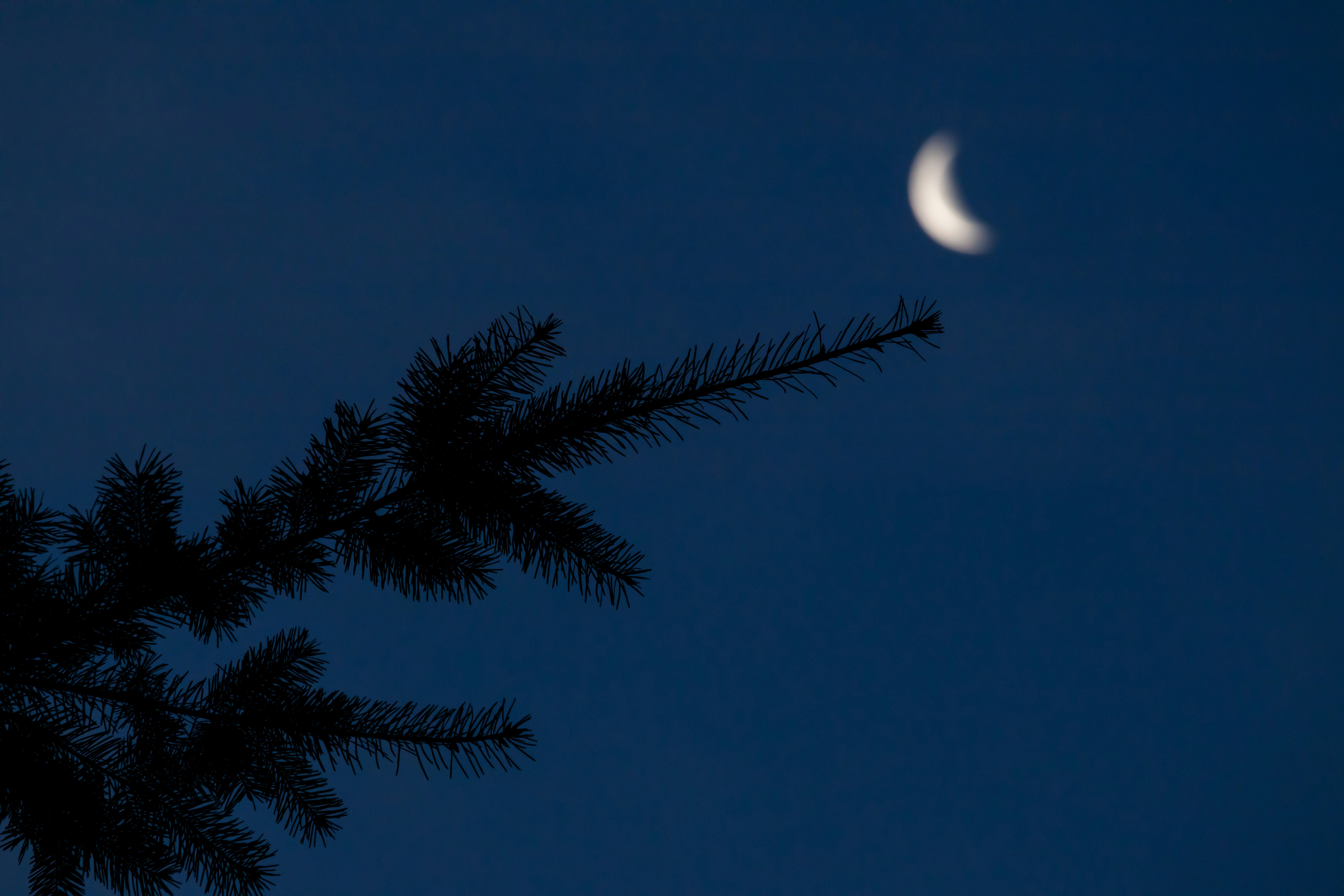 Greg Rosenke (@greg_rosenke) | Unsplash Photo Community