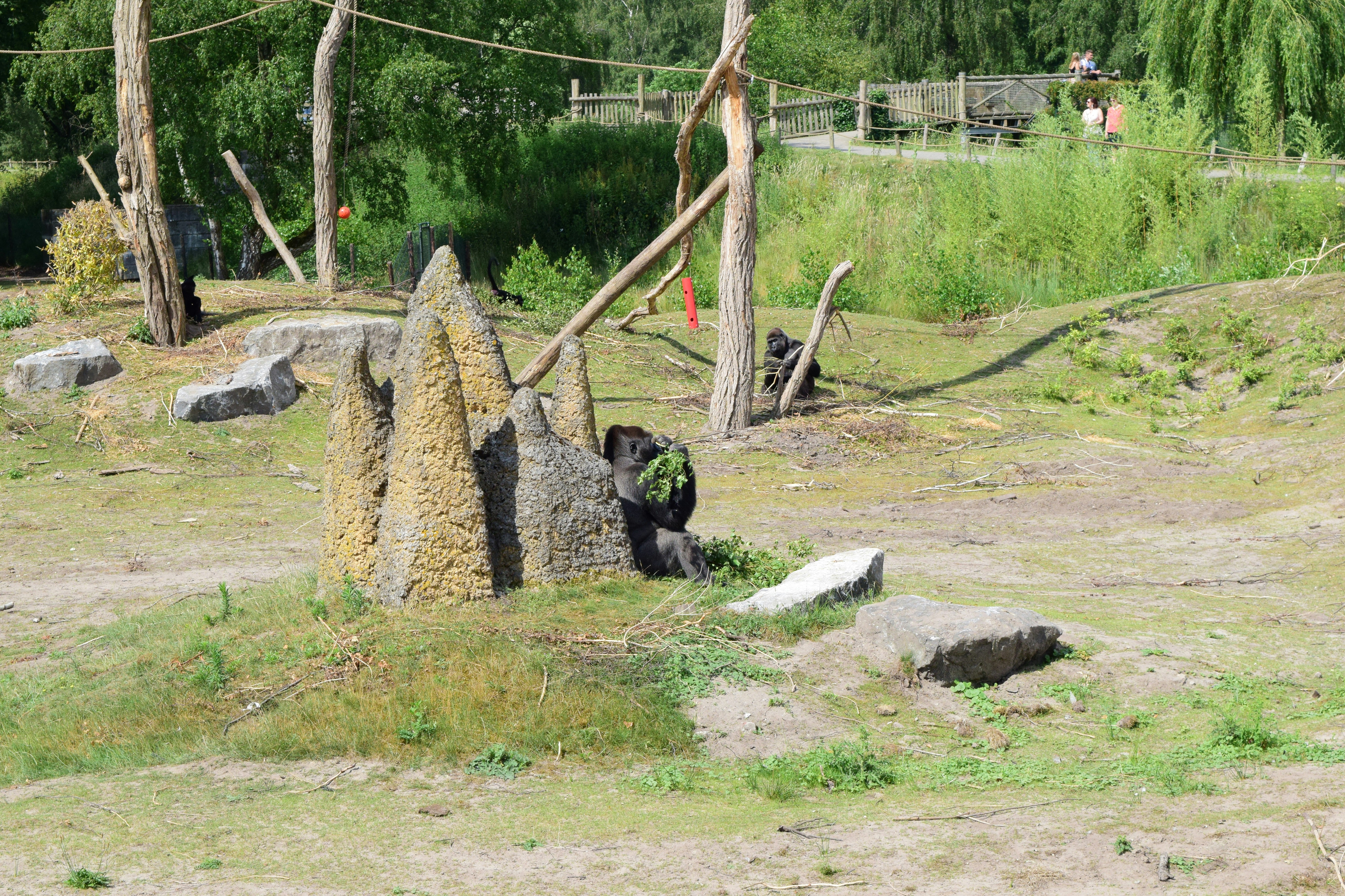 Photo by Saif Taee with Nikon D5300