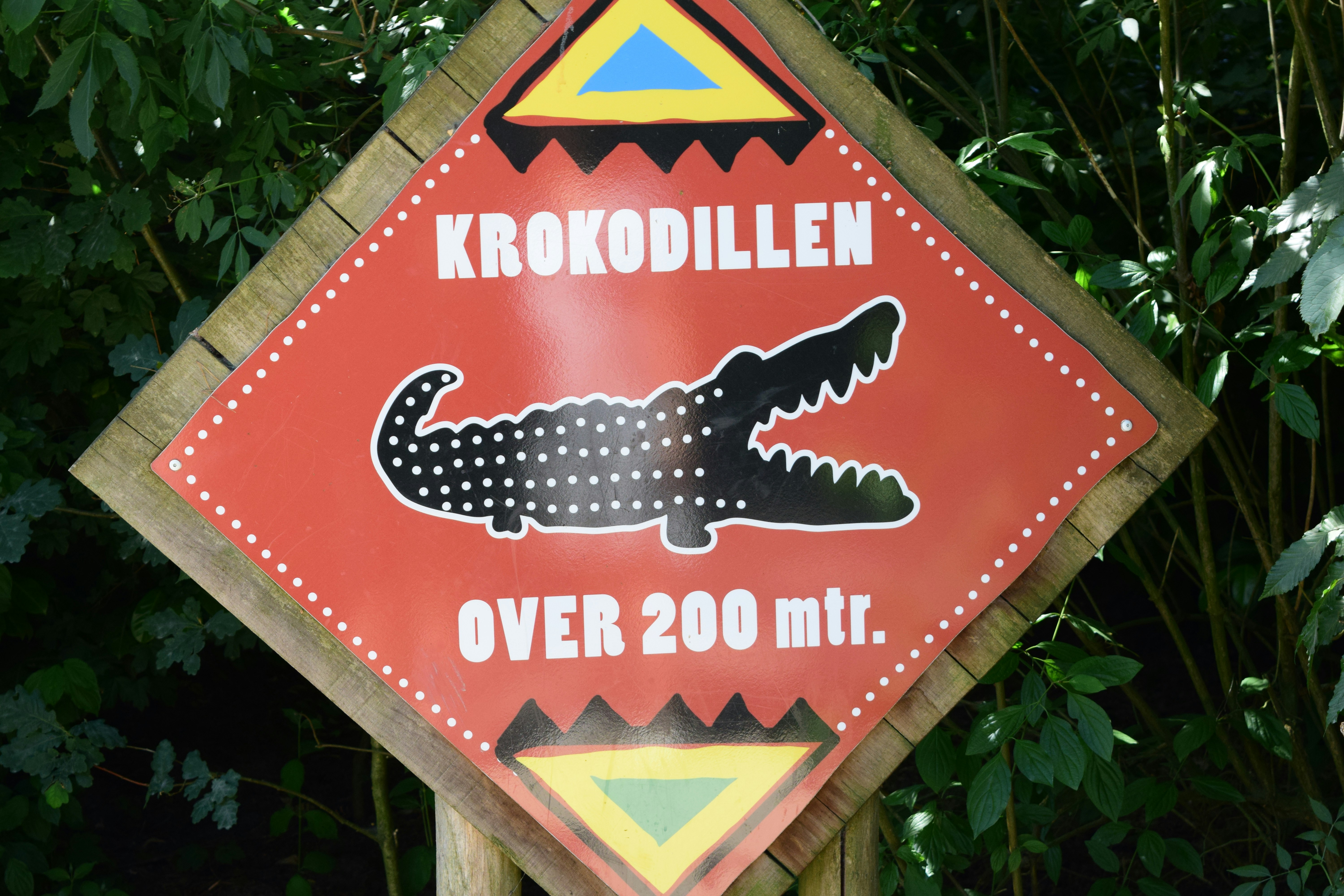 Crocodile Warning Sign at the Jungle Edge