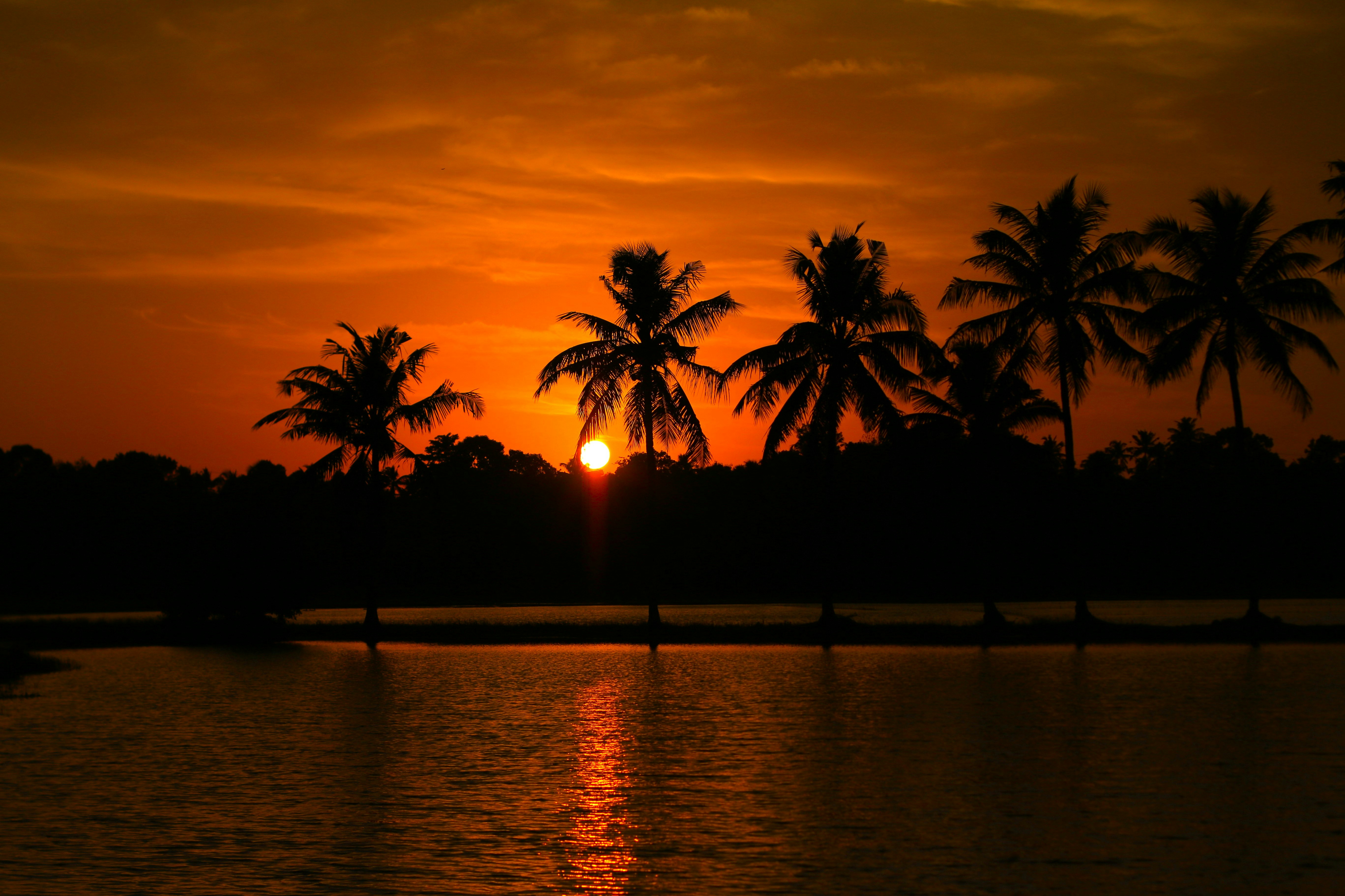 Sun setting behind palm trees, casting a warm glow over a serene body of water.