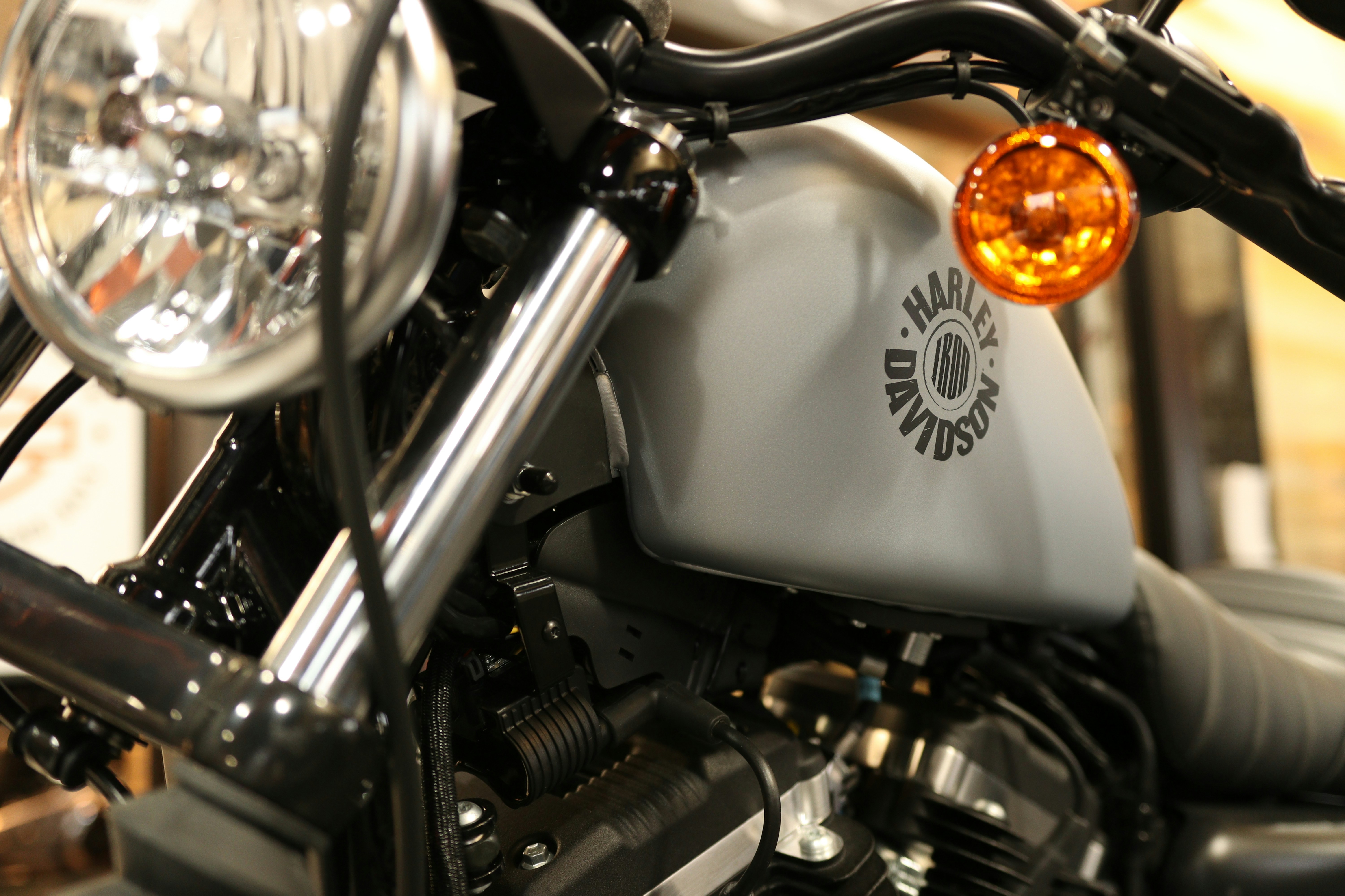 Close-Up of a Harley-Davidson Tank and Front Wheel Detail