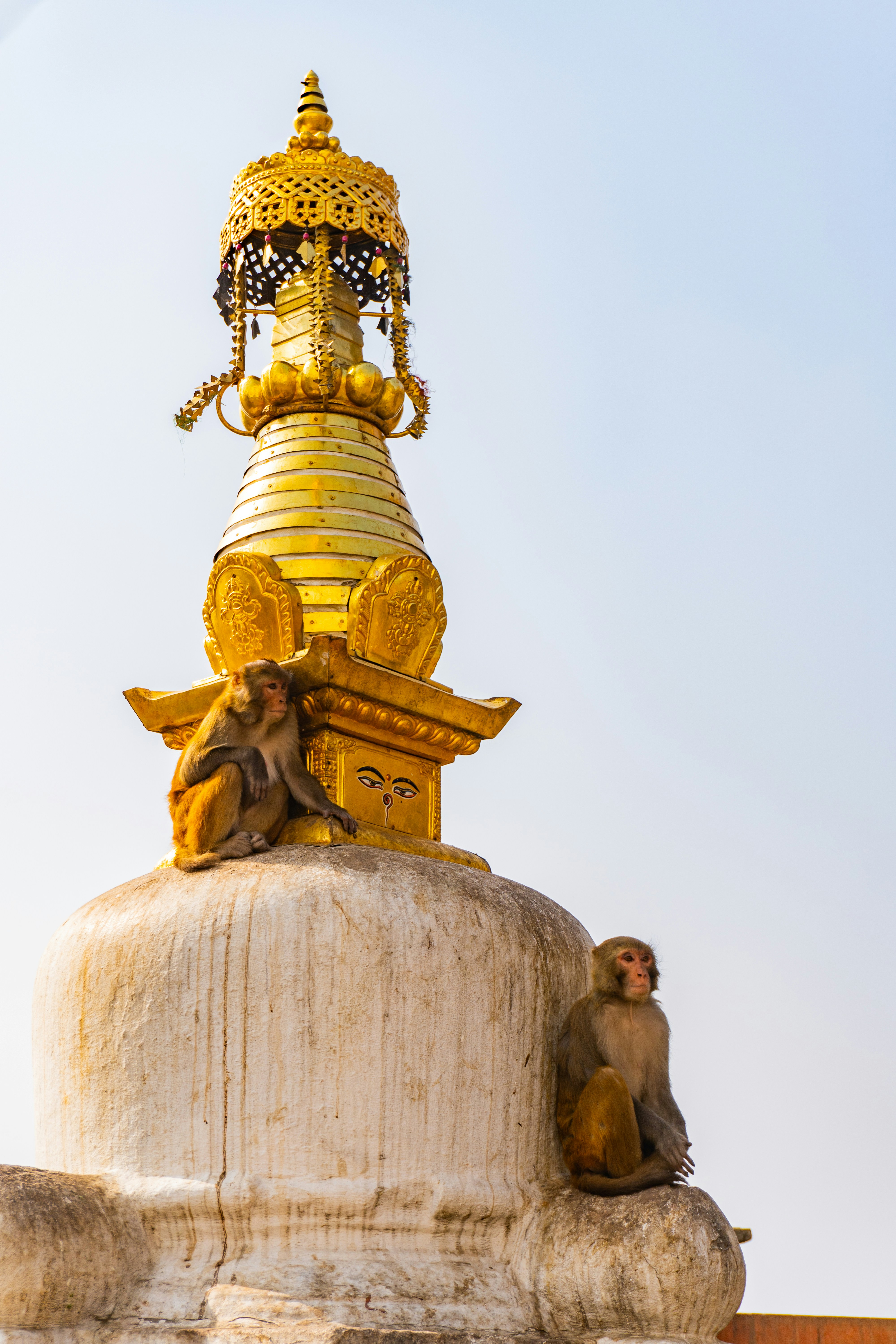 Gilded Spire and Primate Sentinels