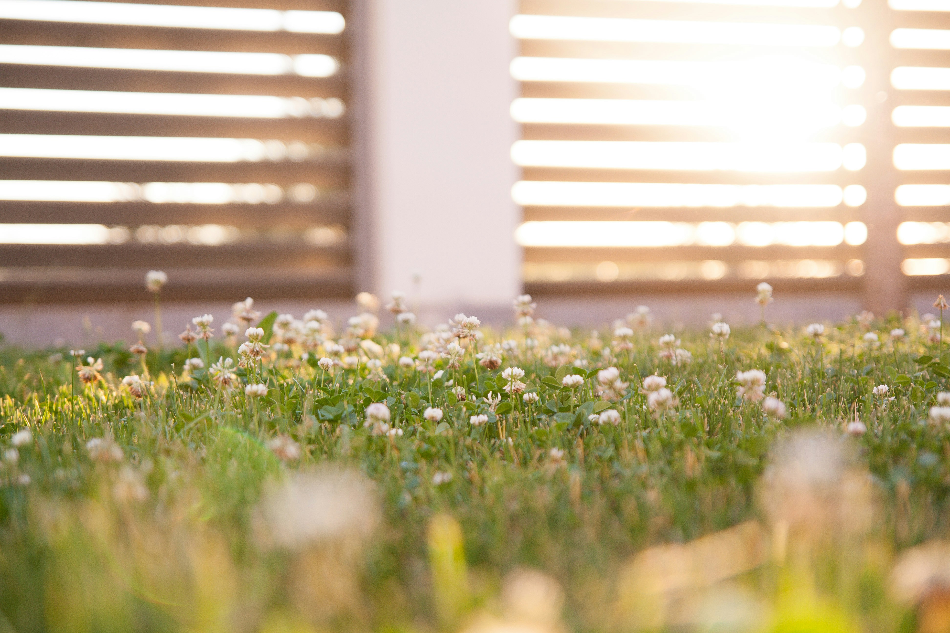 The sun is shining through the slats of a window photo – Free Meadow ...