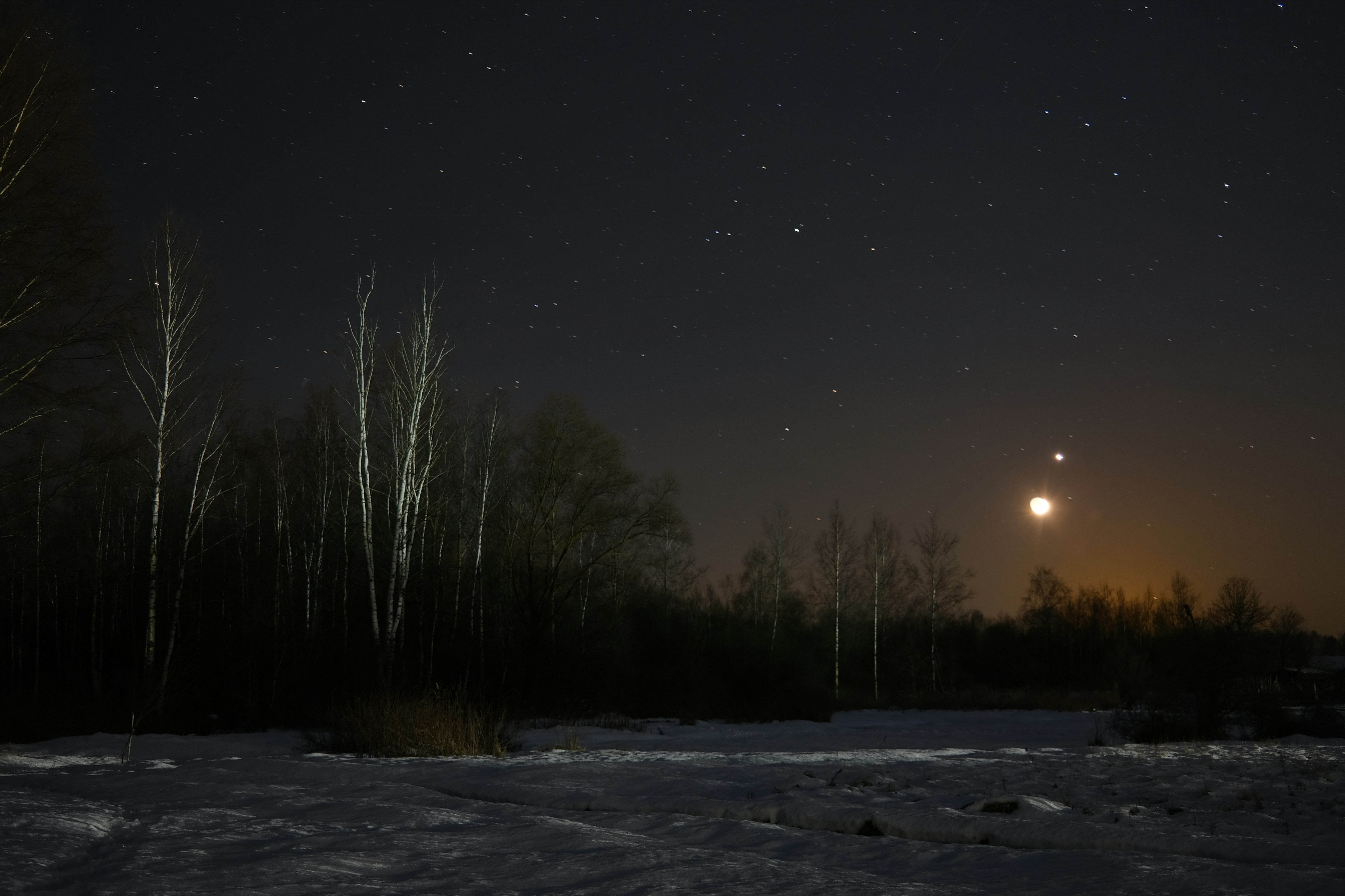 A night sky with a full moon and some trees photo – Free Nature Image ...