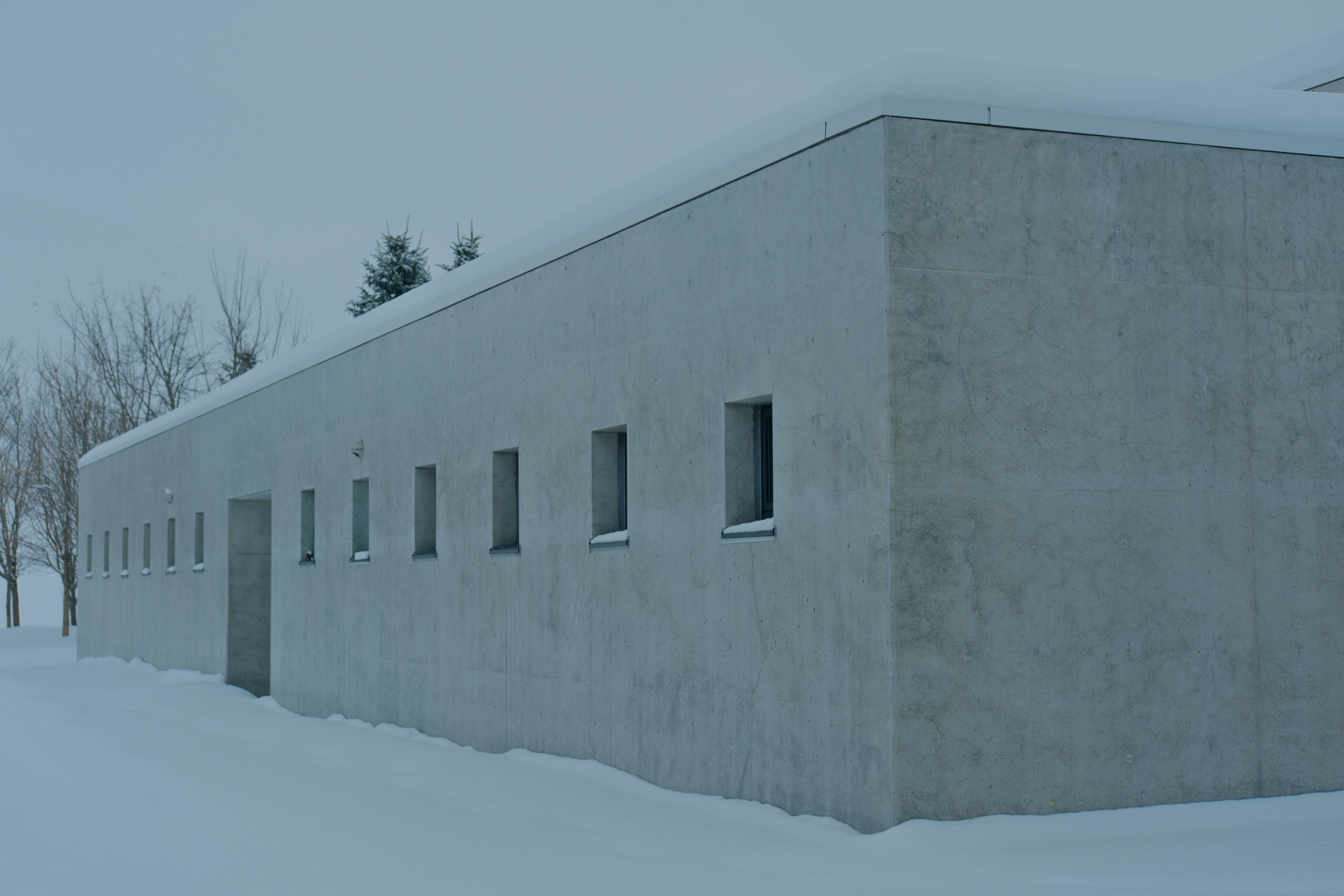 Winter Geometry: A Snowbound Concrete Block Reaching Toward Silence