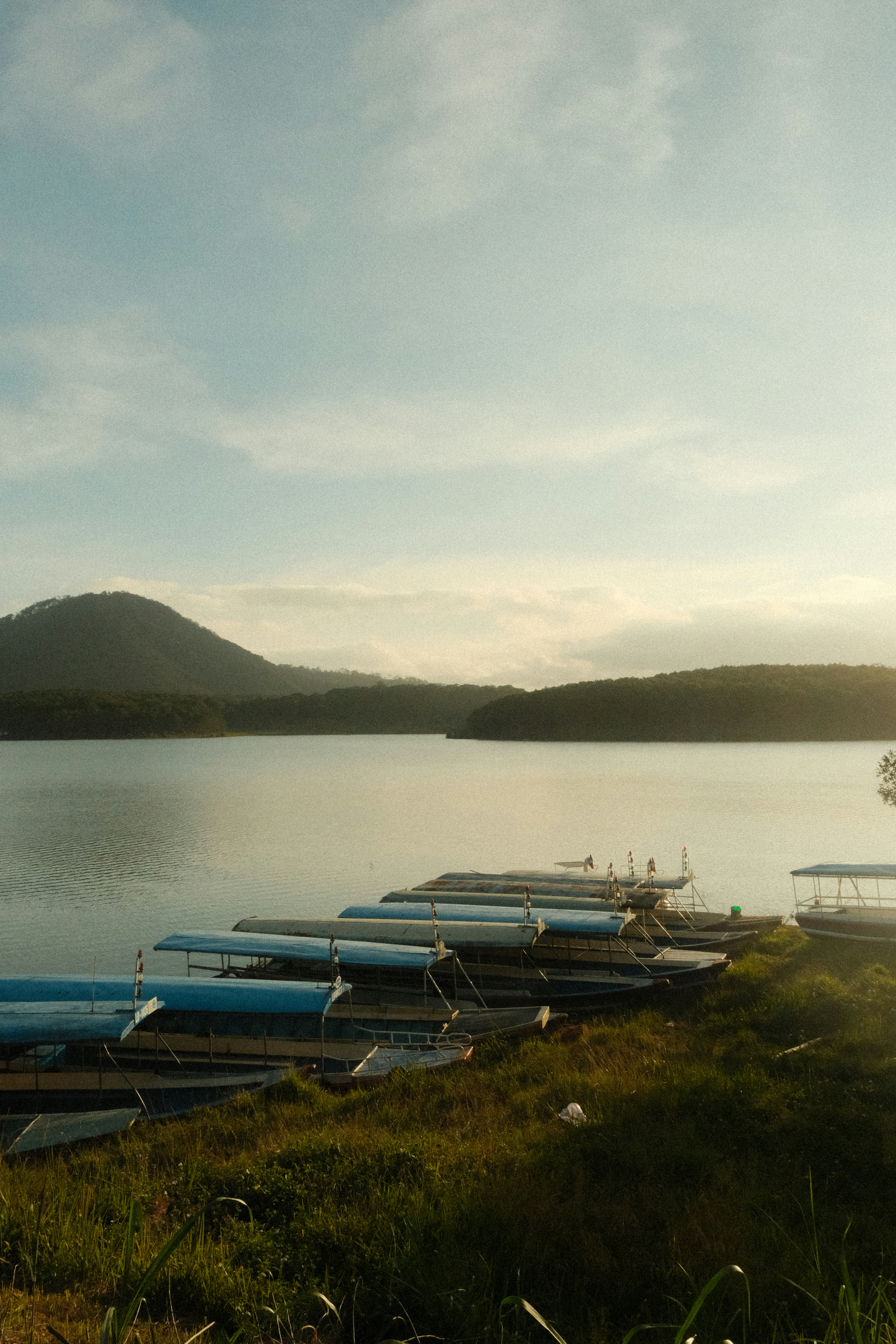A bunch of boats that are sitting in the grass photo – Free Nature ...