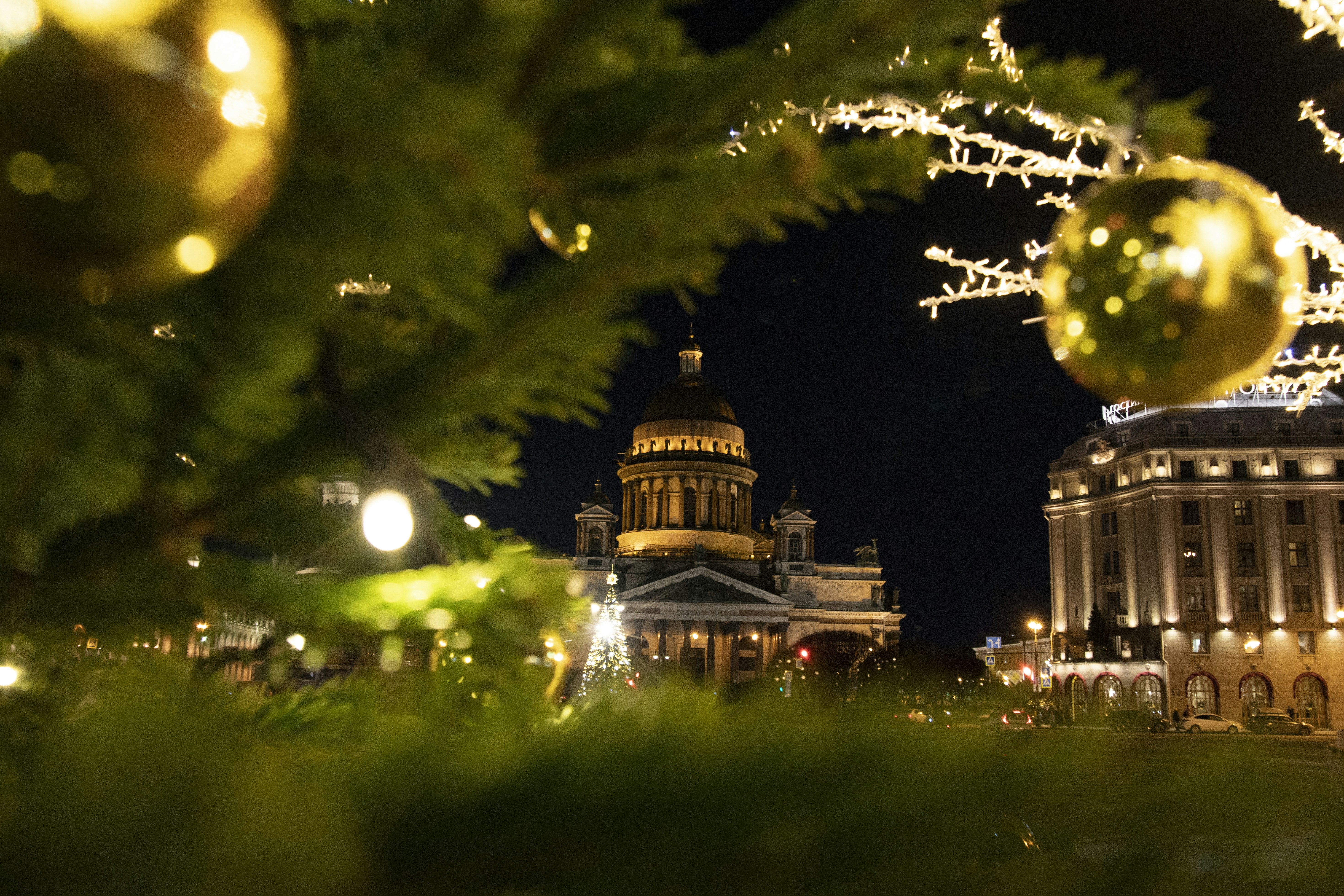 Dimmed Christmas Glow: City Hall Illuminated Beyond a Framing Fir