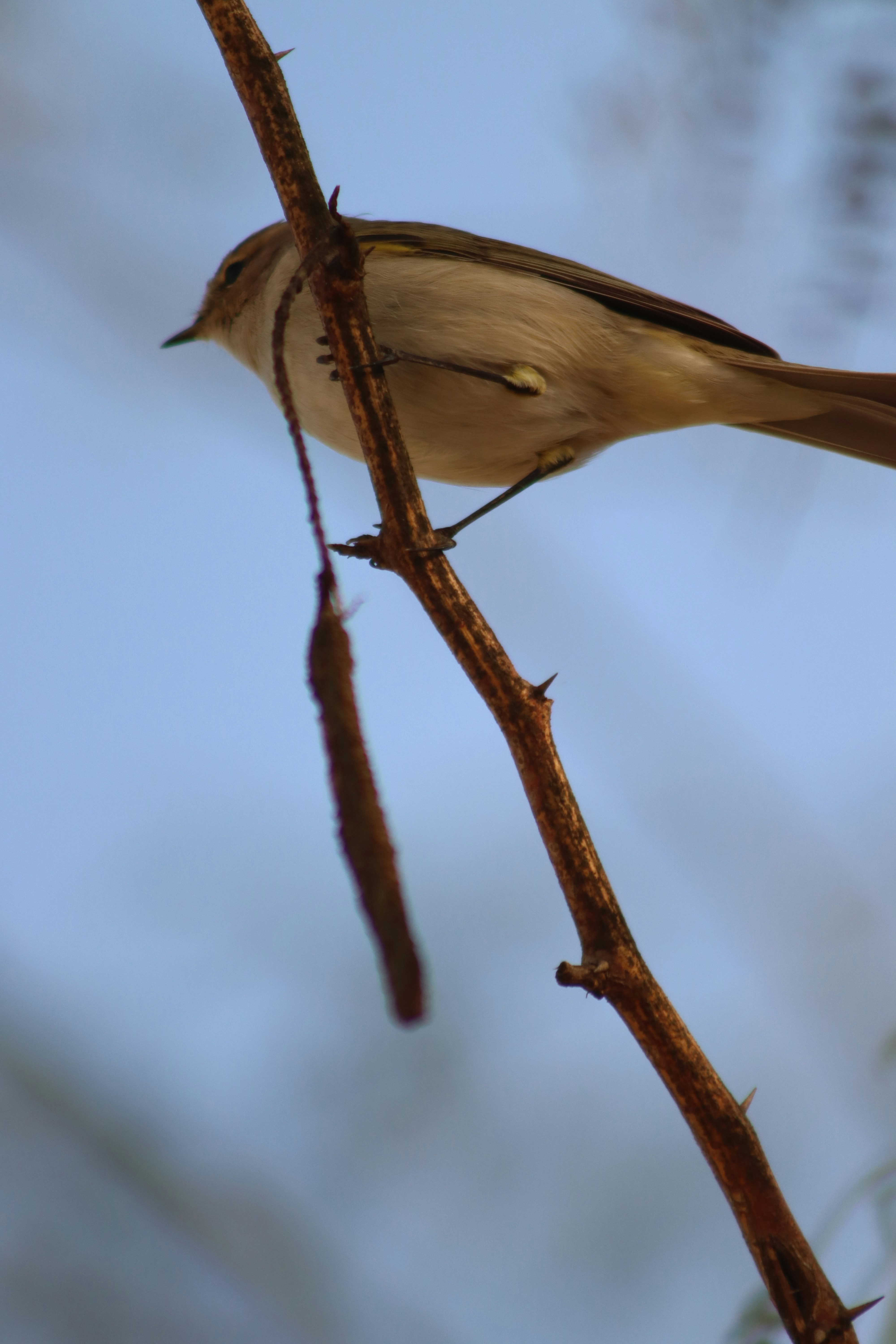Photo by Anees Ur Rehman with Canon EOS 250D