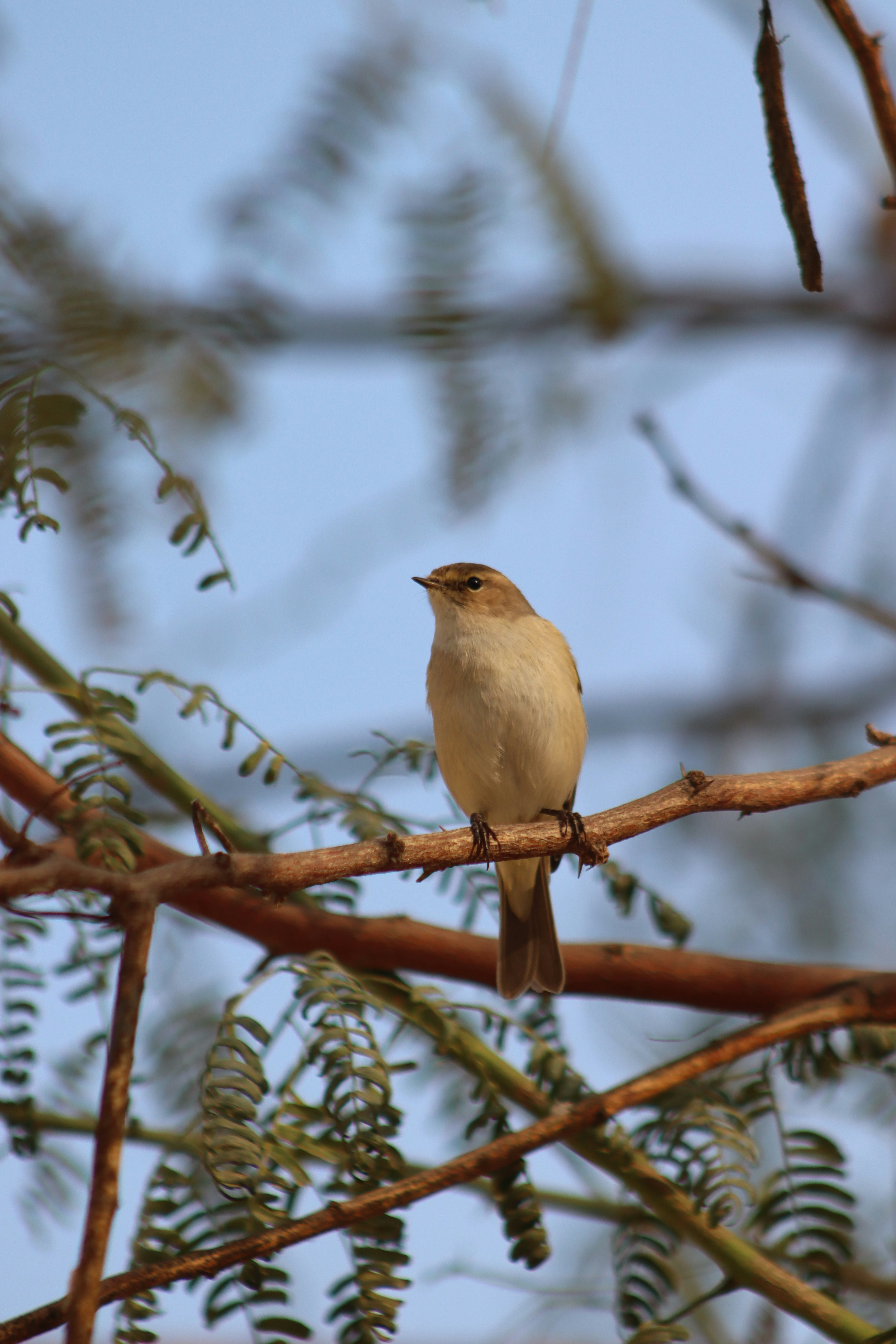 Photo by Anees Ur Rehman with Canon EOS 250D