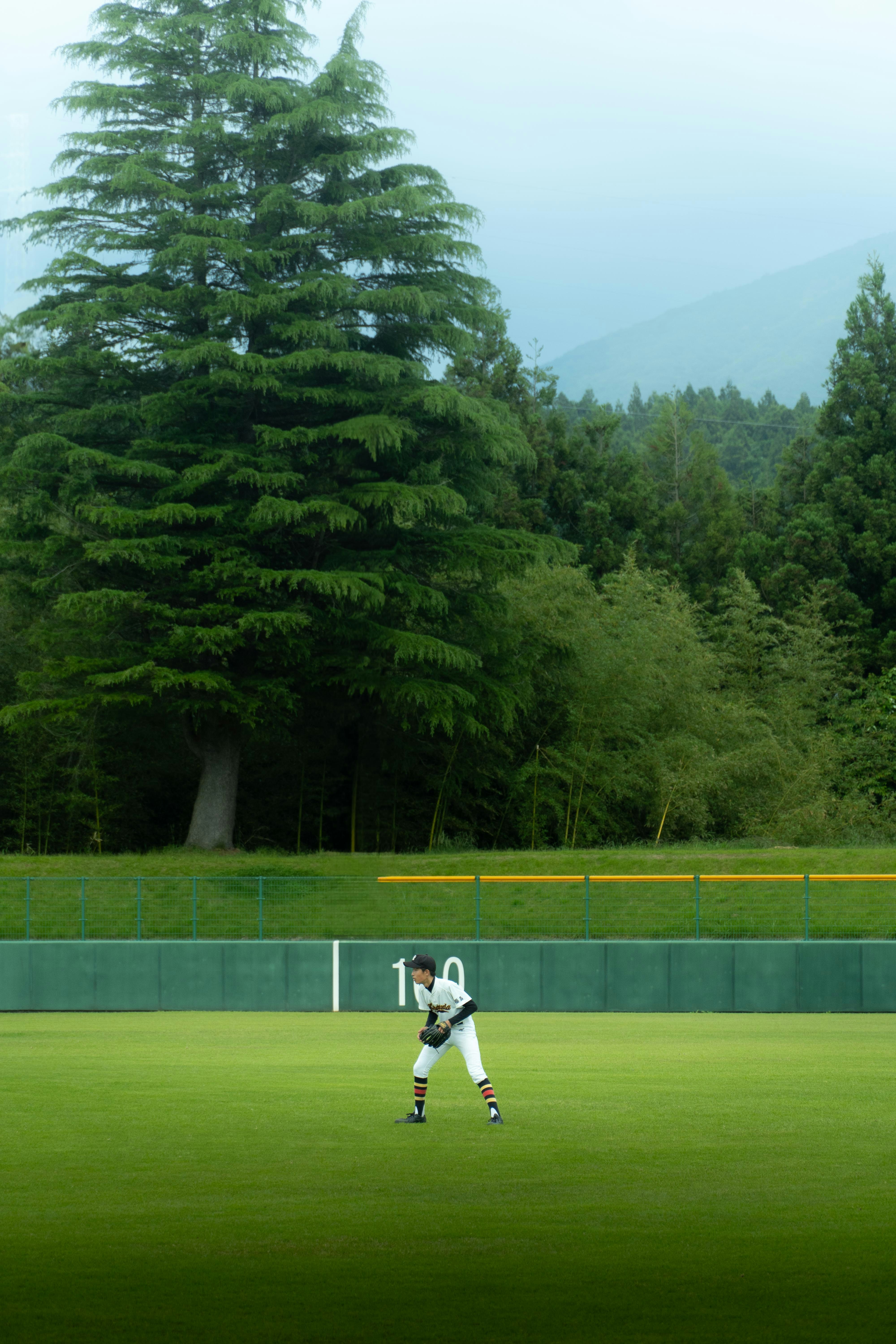 Lone Baseball Player in a Green Outfield with a Giant Cedar Backdrop