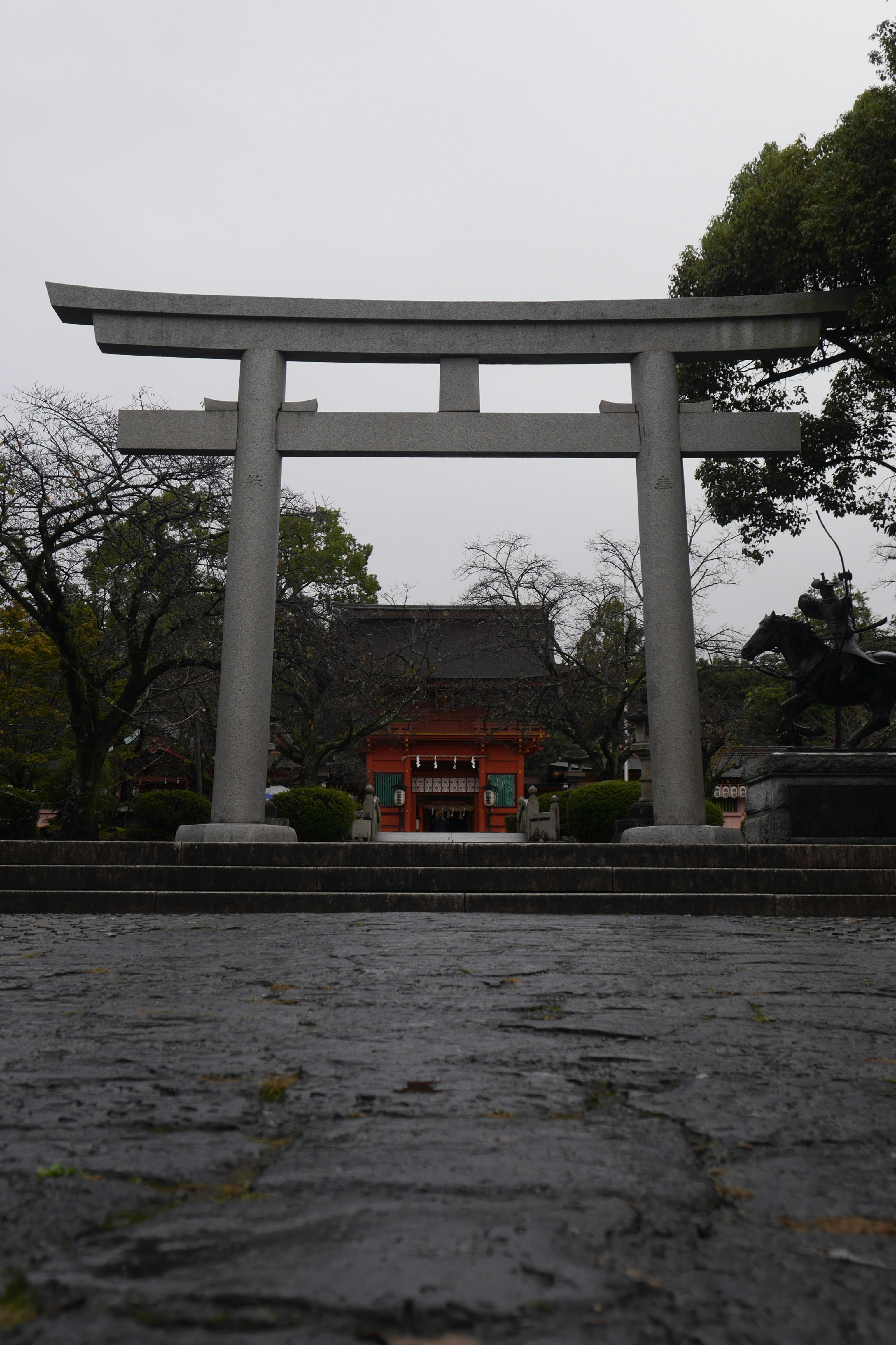 Reticulum (@reticulum) | Unsplash 사진 커뮤니티