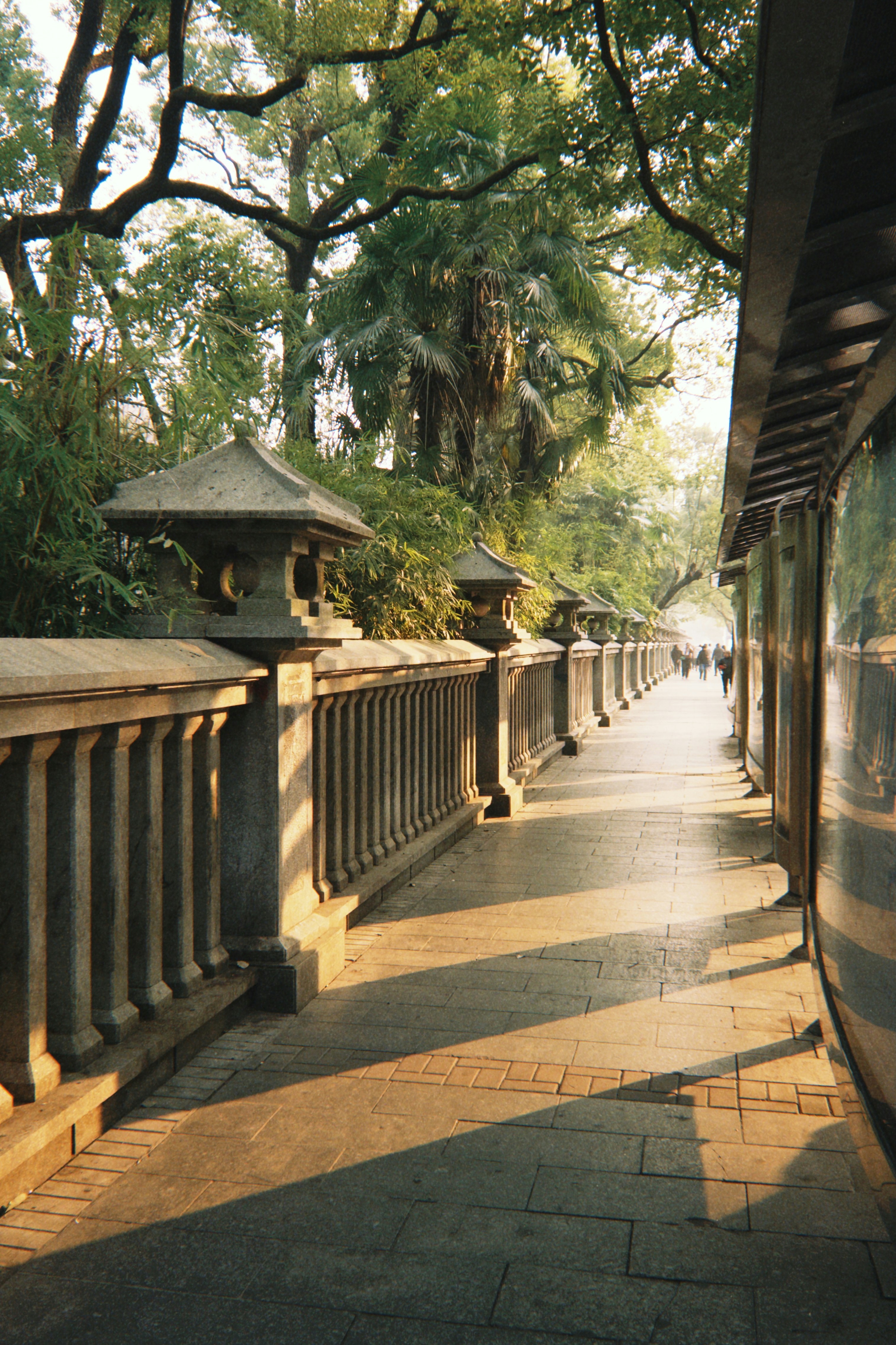 Photo by Yeh Xintong with Apple iPhone 15 Pro