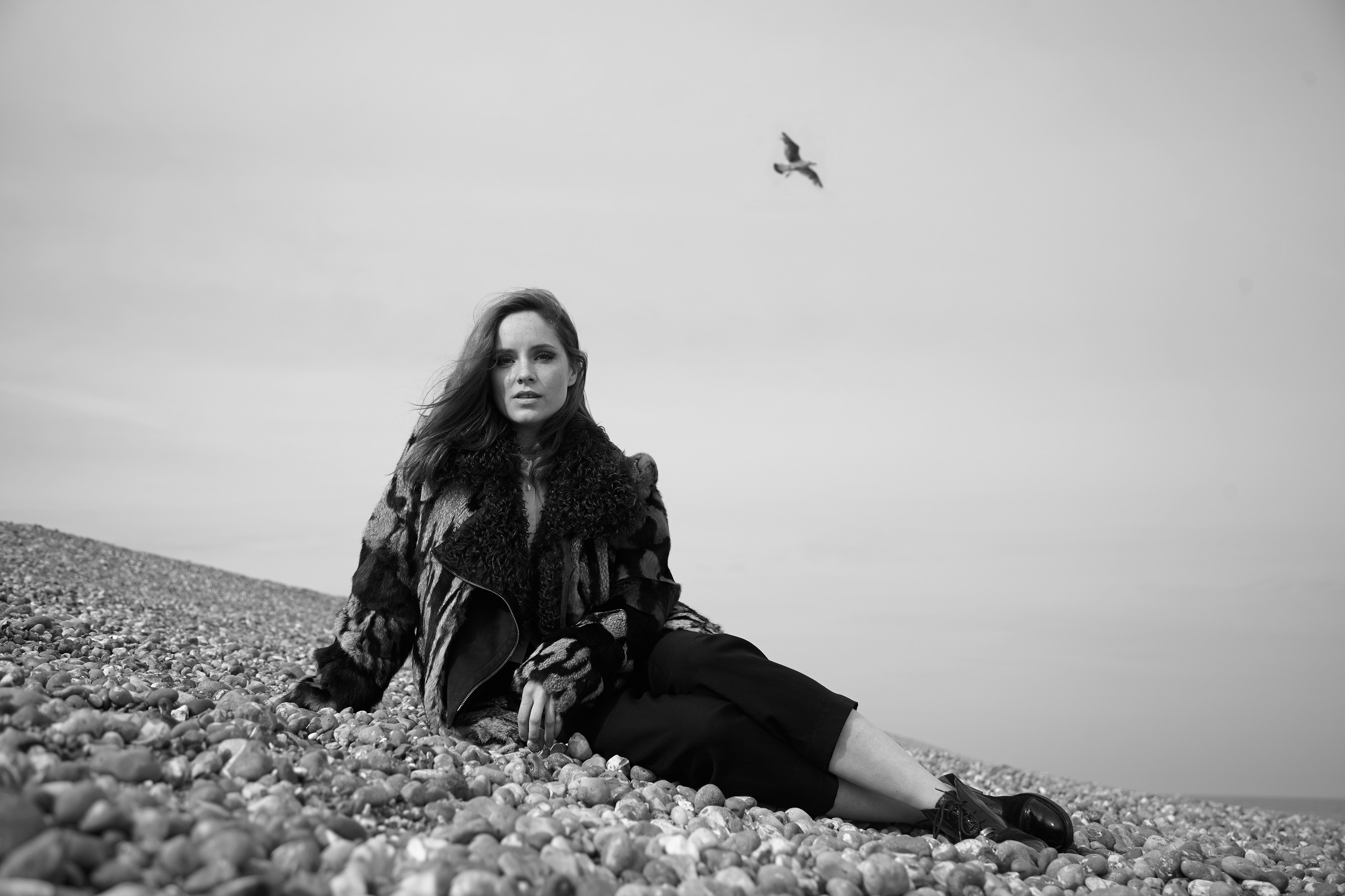 Velvet Coat on a Pebble Shore: A Black-and-White Portrait Beneath a Distant Bird