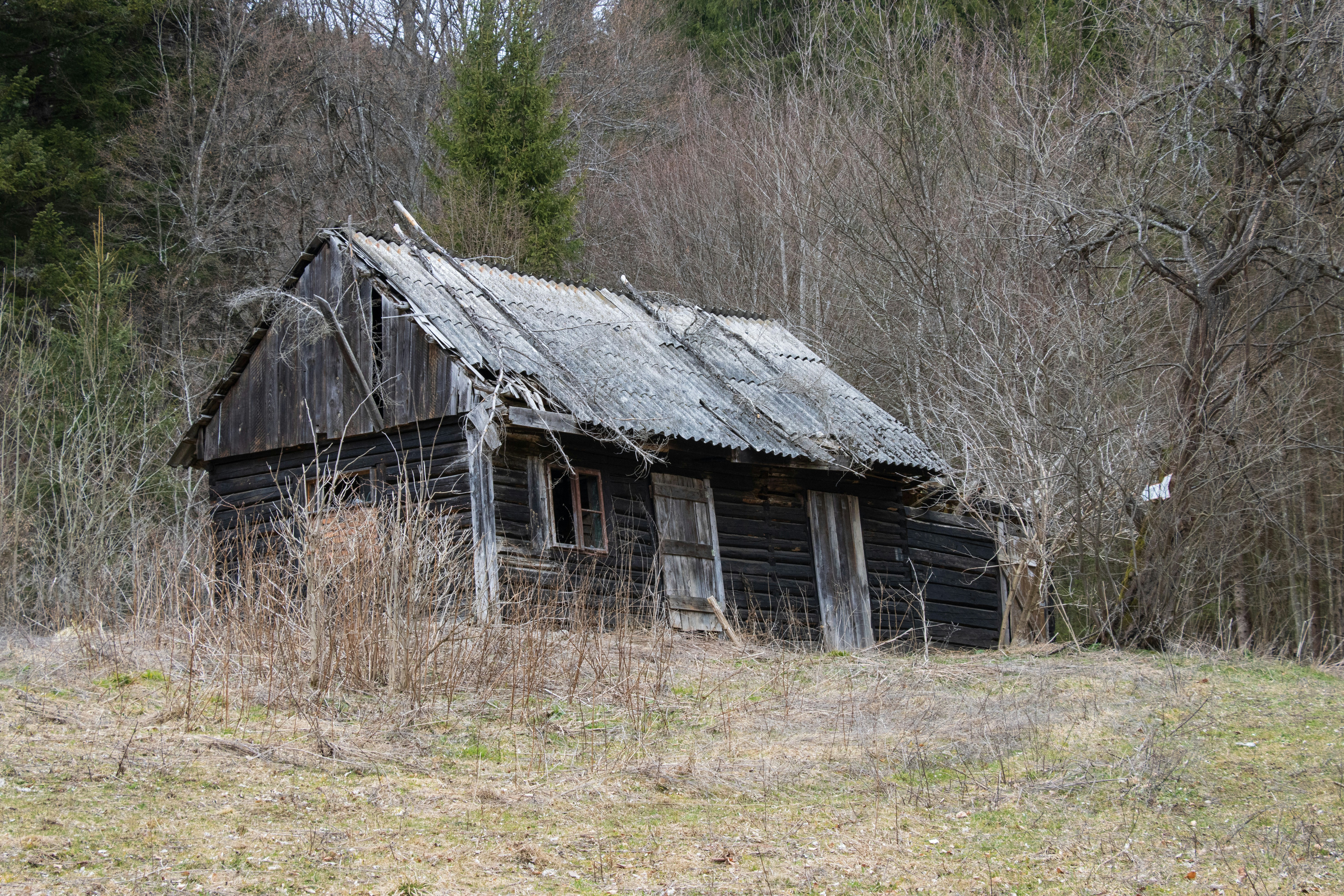 An old run down house in the middle of the woods photo – Free Predeal ...