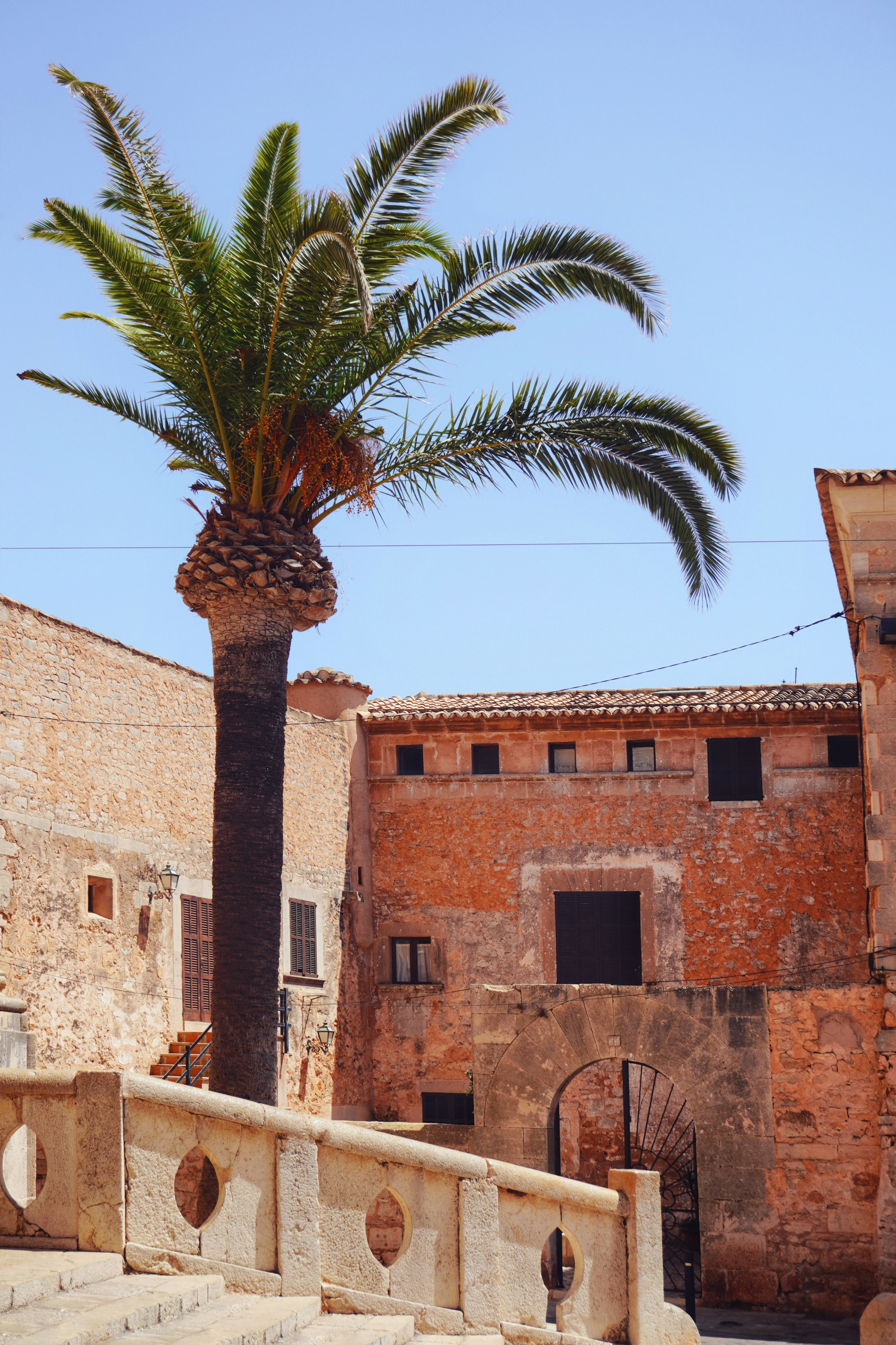 Palm Fronds Over a Sunlit Stone Courtyard