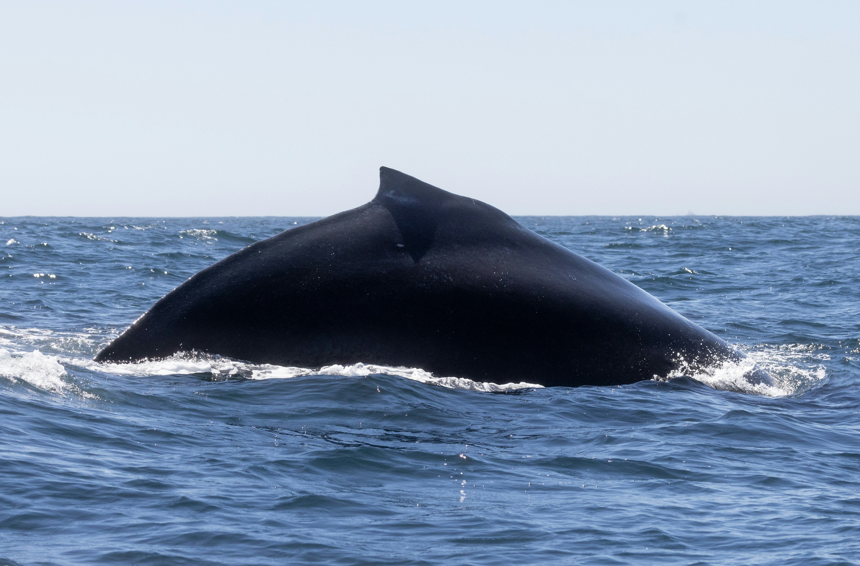 Photo by Zac Bowling with Canon EOS R5