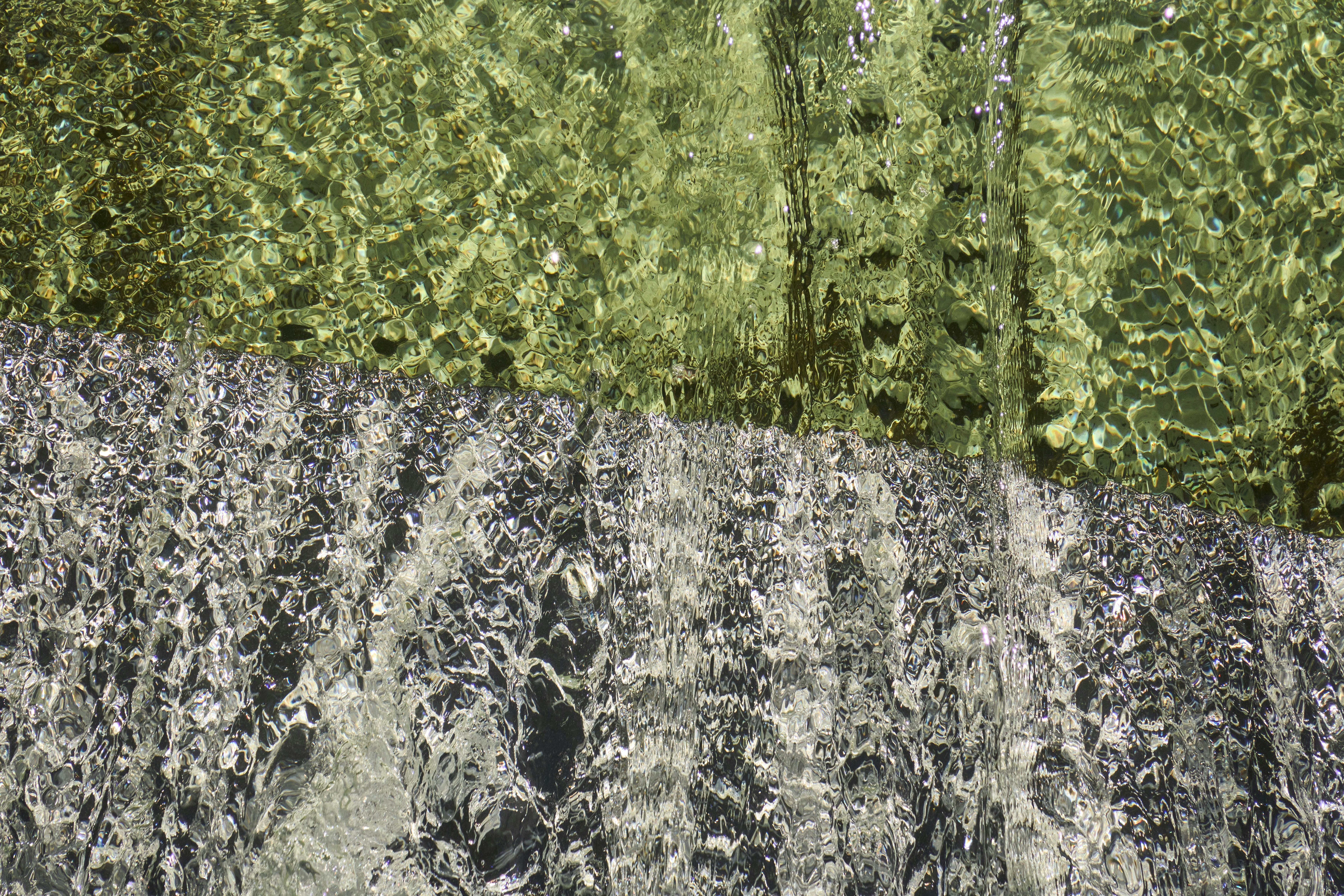 Photo by Wolfgang Hasselmann with Sony Alpha 7 IV