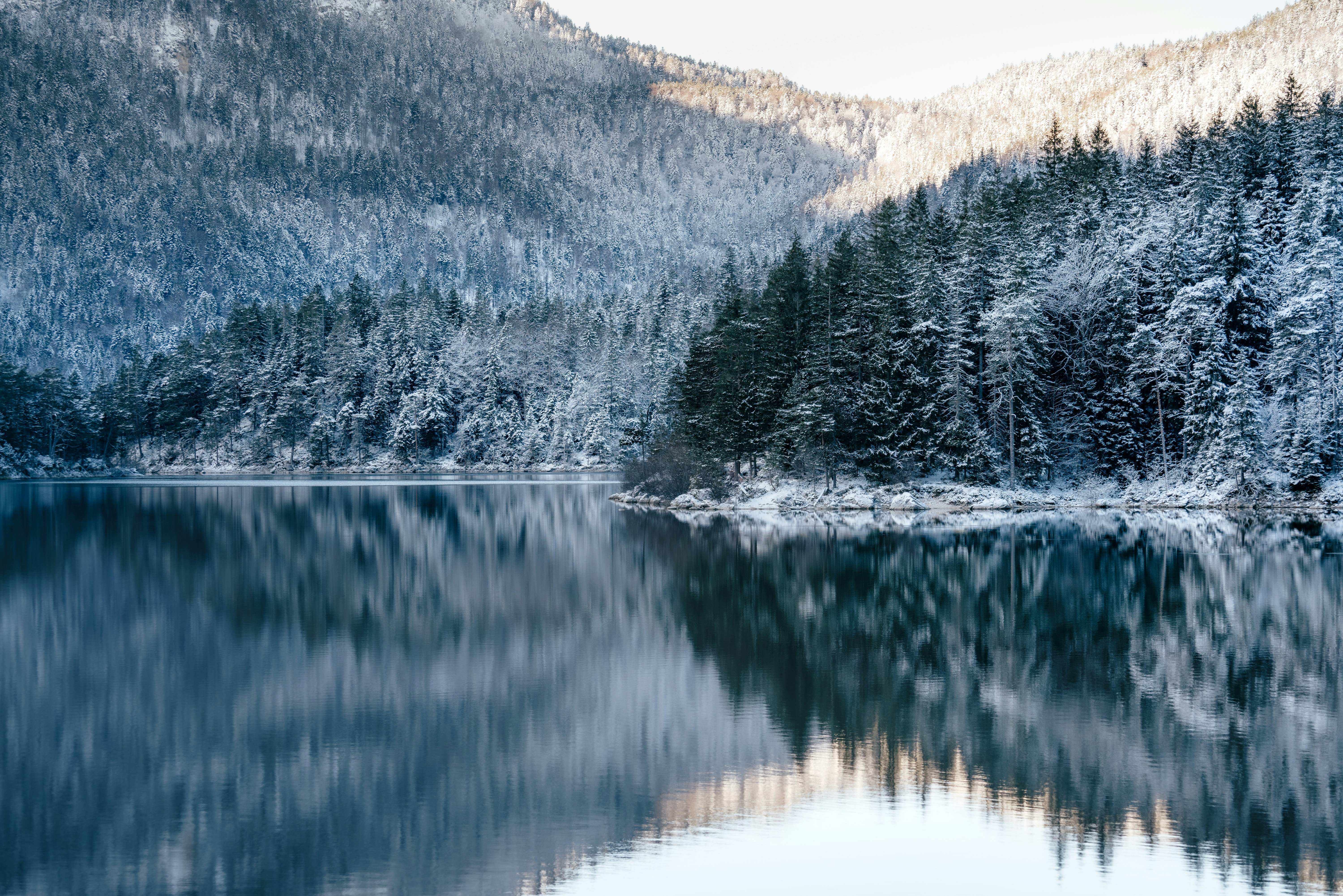 Daniel Seßler (@danielsessler) | Unsplash Photo Community