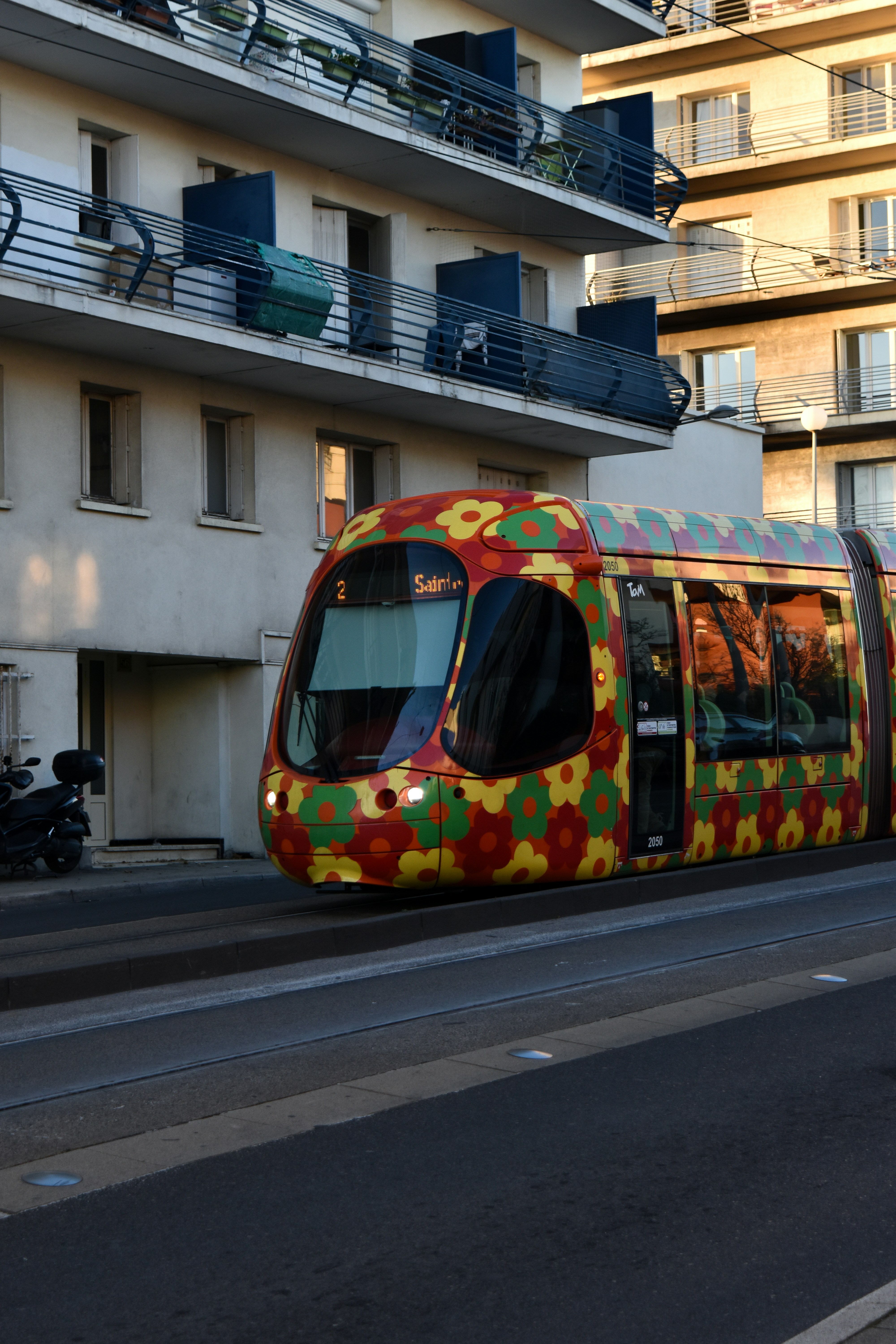 Colorful tram with floral wrap gliding past urban balconies