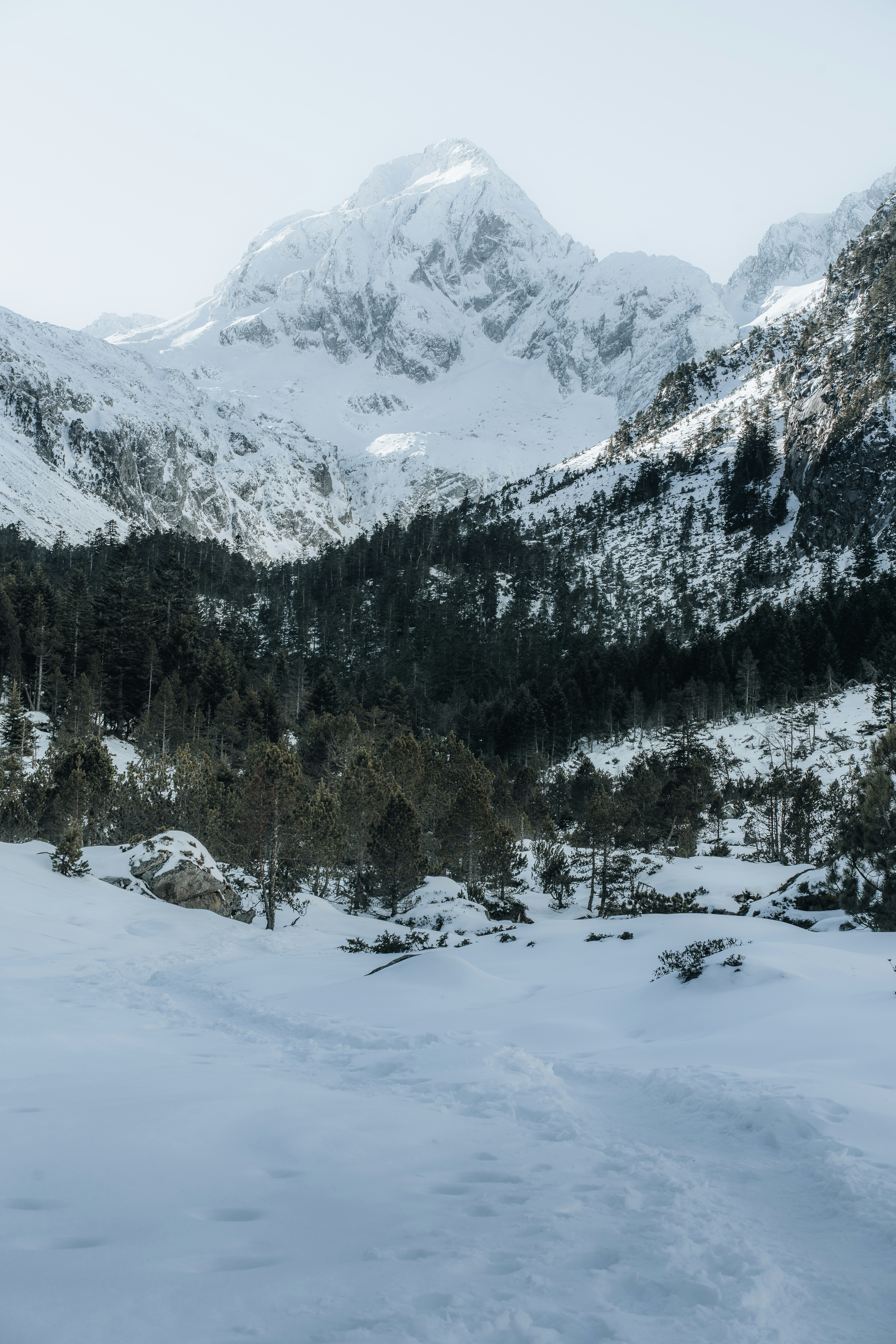 Guillaume Auceps (@gauceps) | Comunidade de fotos da Unsplash