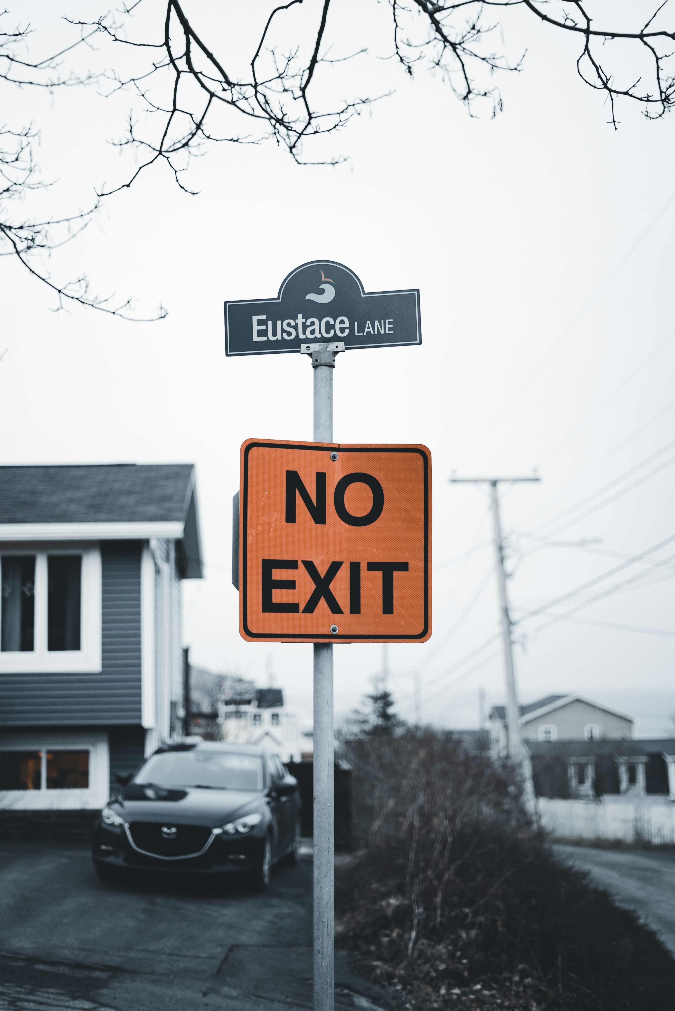 No Exit on Eustace Lane: A Quiet Suburban Moment