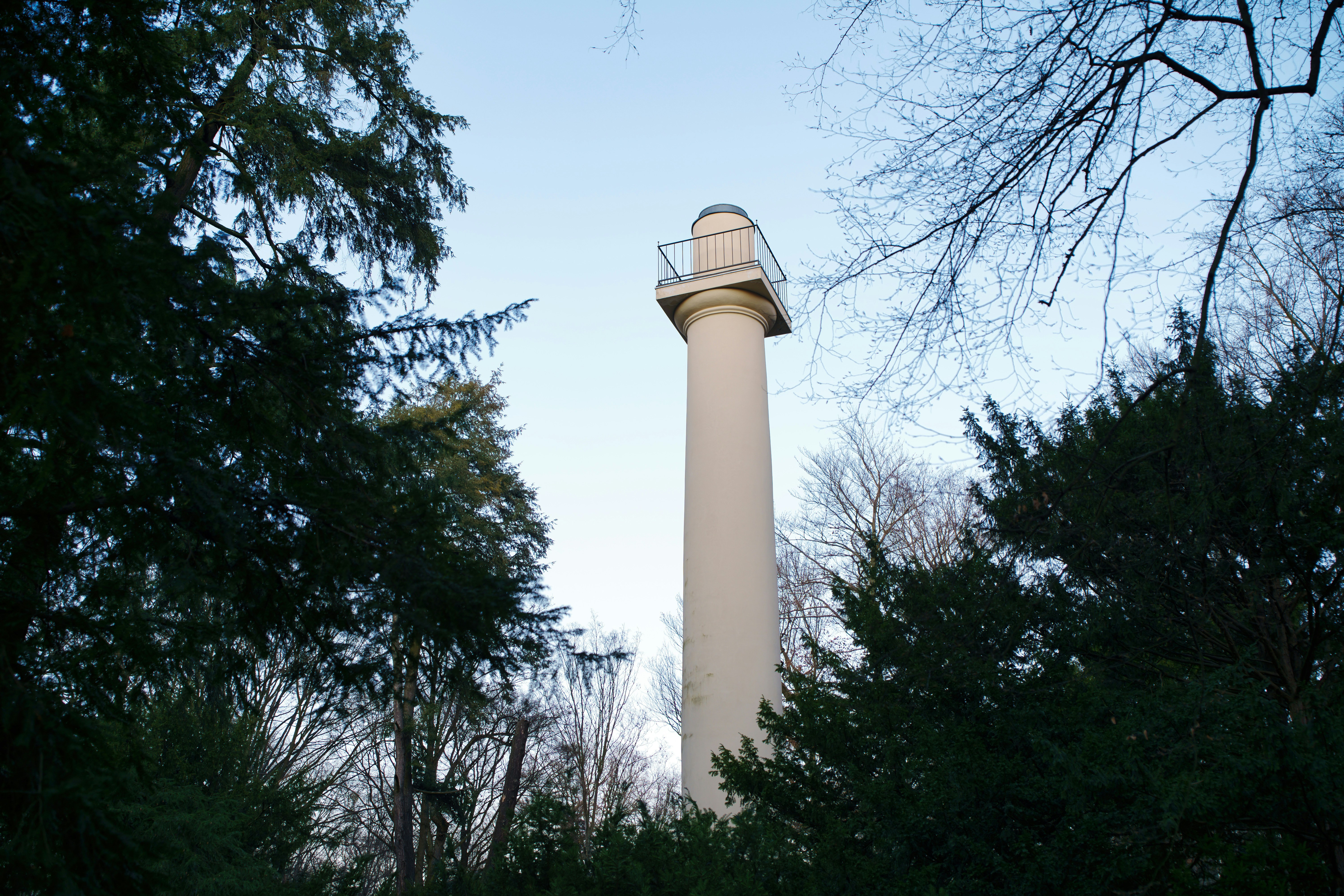 Beacon in the Pines: a Quiet Tower Rising Above the Woodland