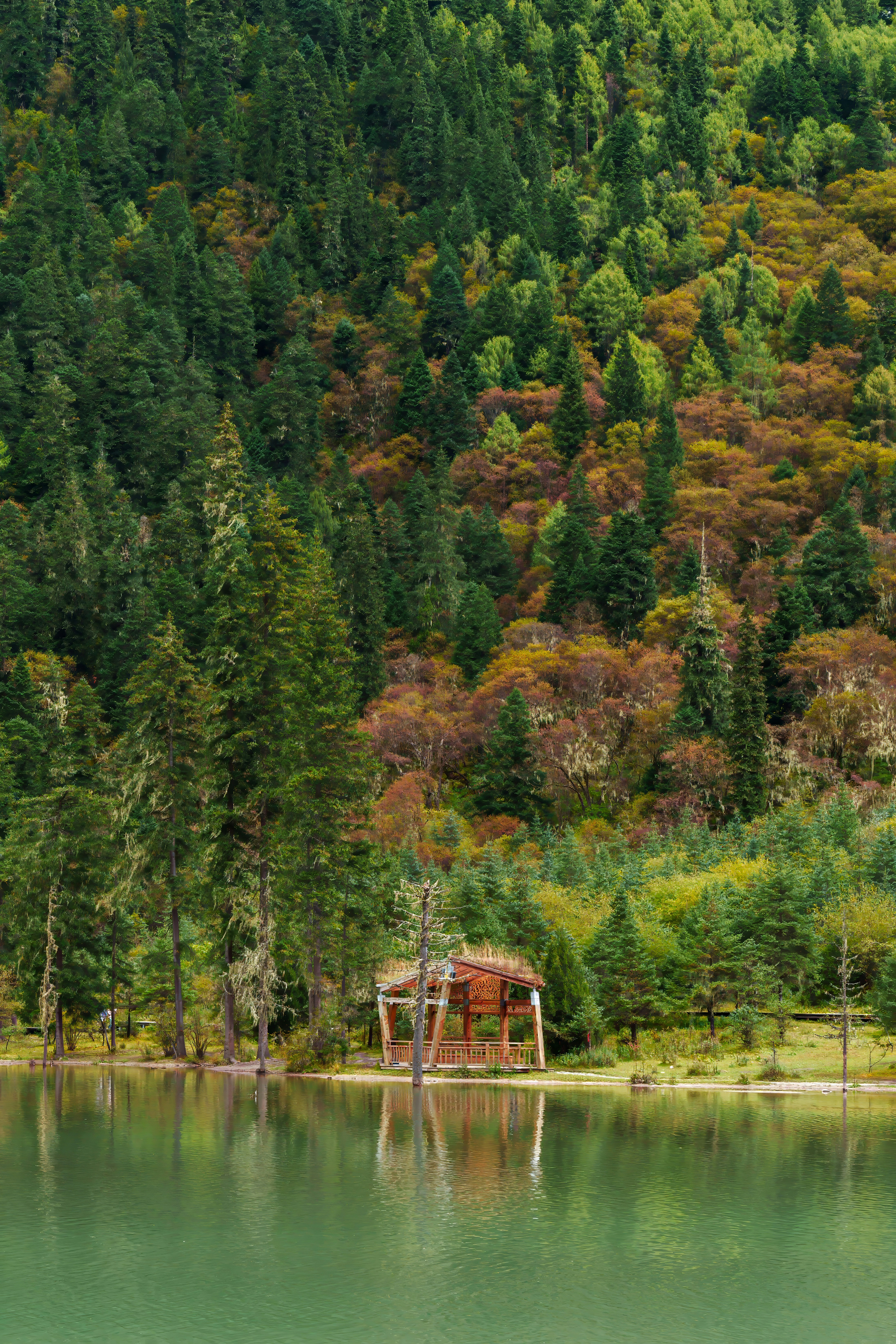 Photo by Hat Trick with Sony Alpha 7C R