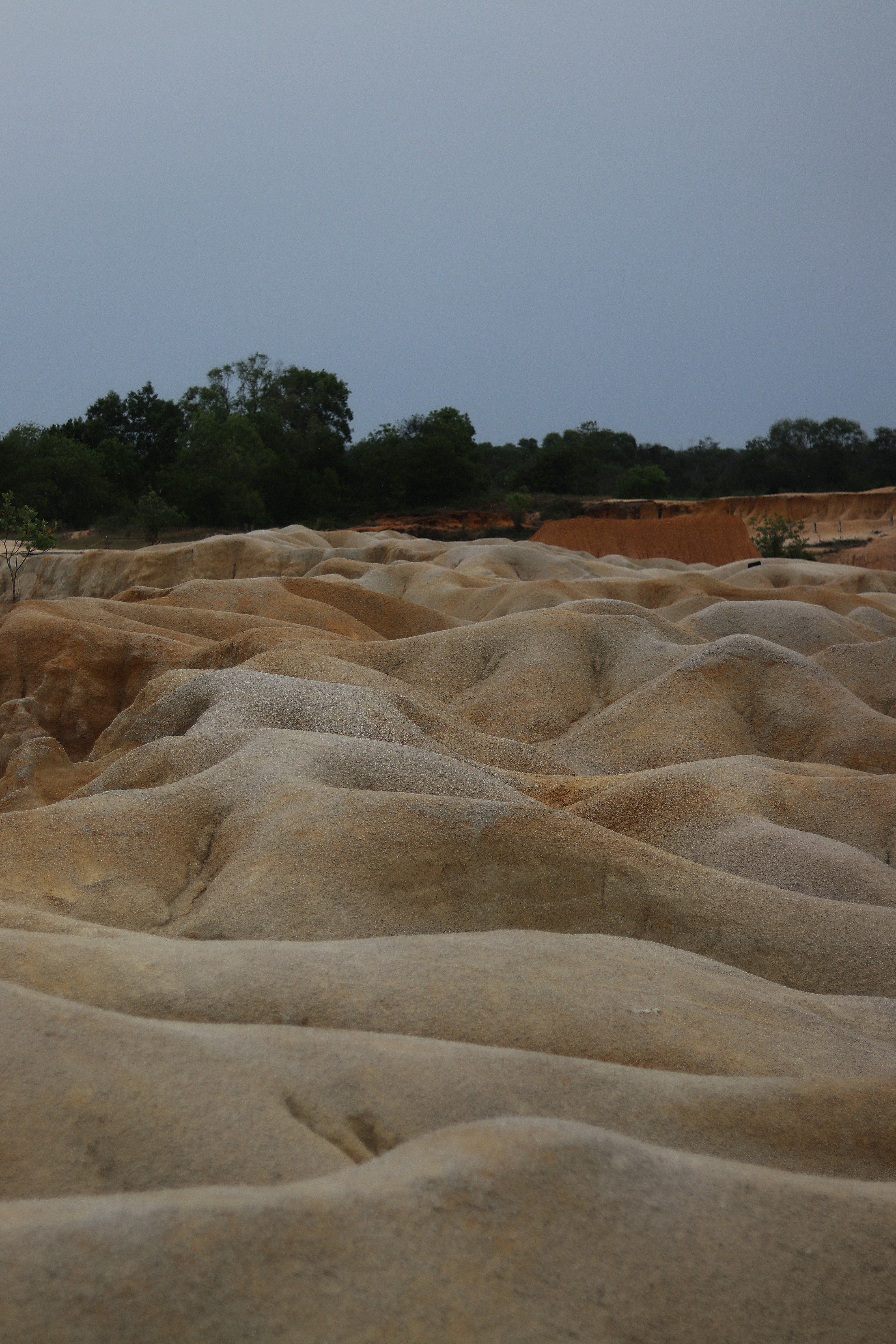 Undulating Badlands: A Sea of Weathered Sands under a Quiet Sky