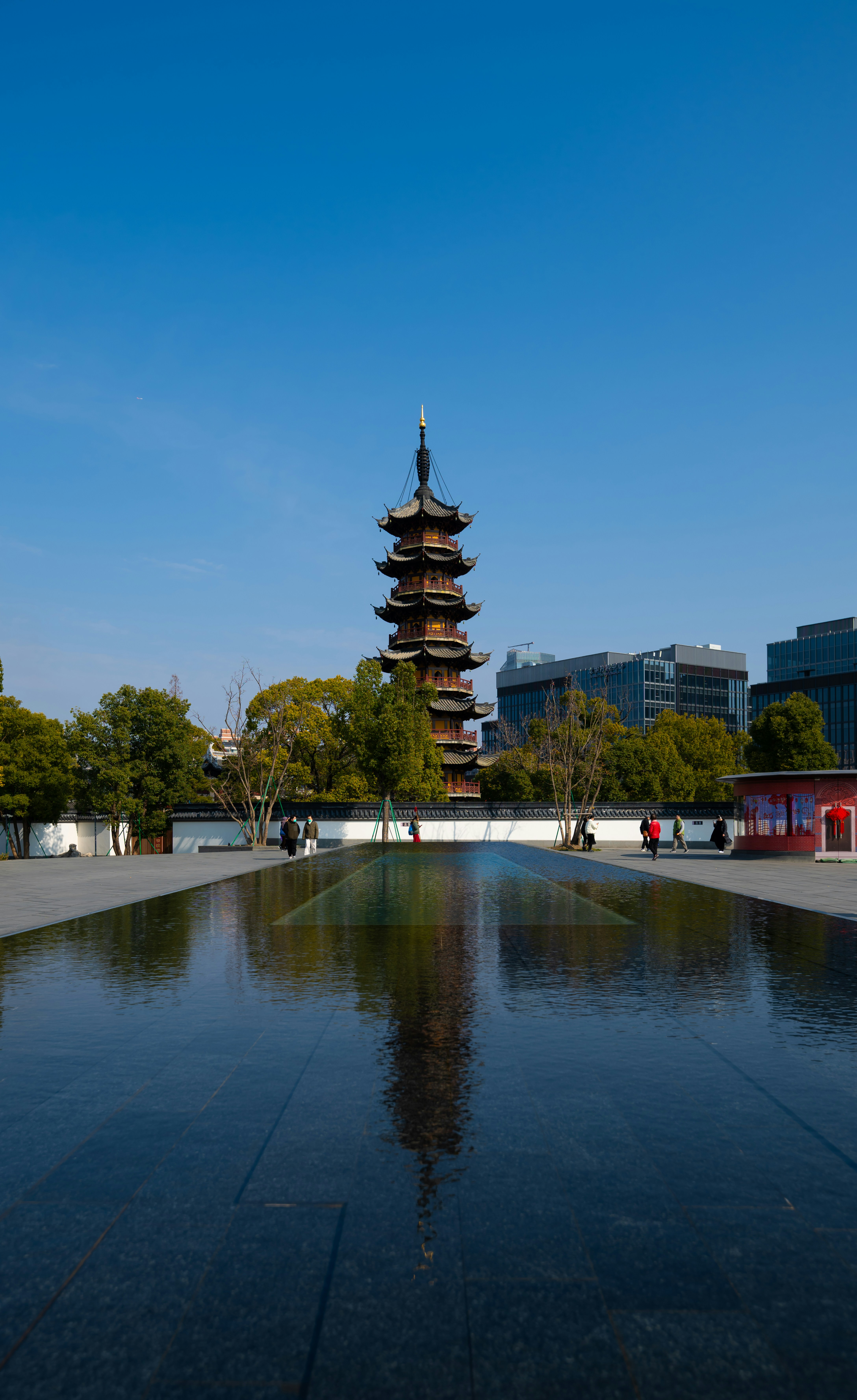 Photo by Declan Sun with Nikon Z8