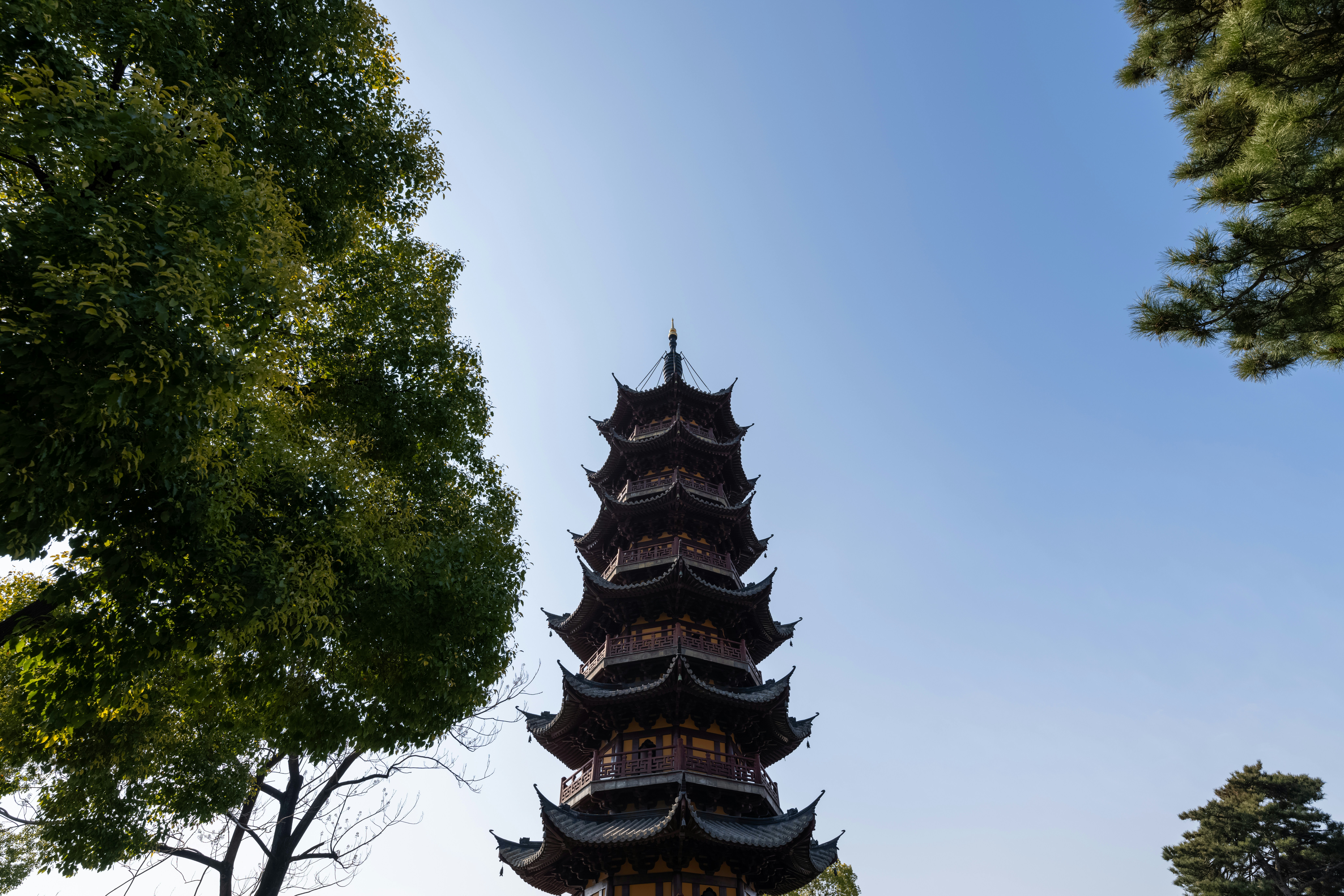 A tall tower sitting next to a lush green forest photo – Free Longhua ...