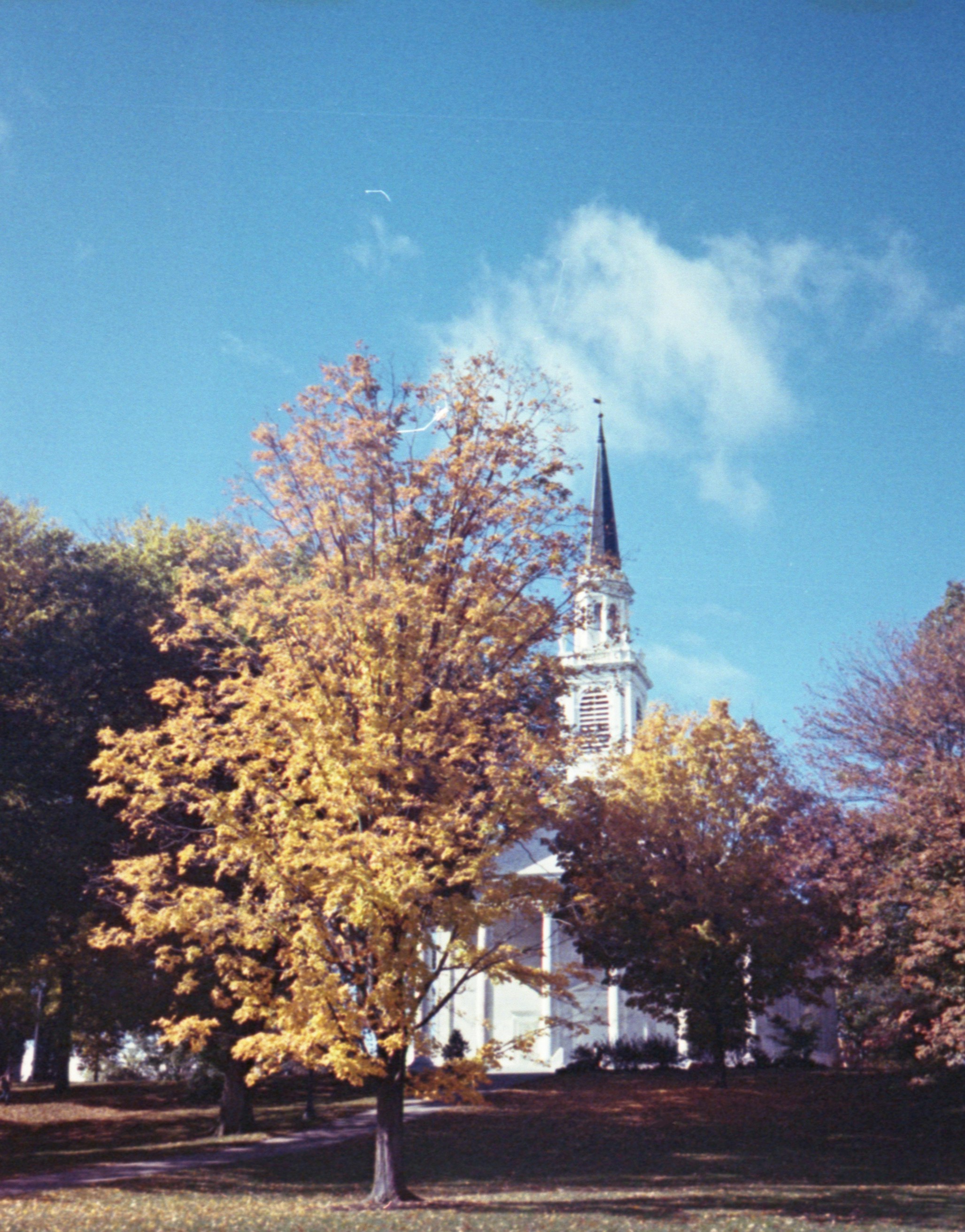 A church with a steeple surrounded by trees photo – Free Church Image ...