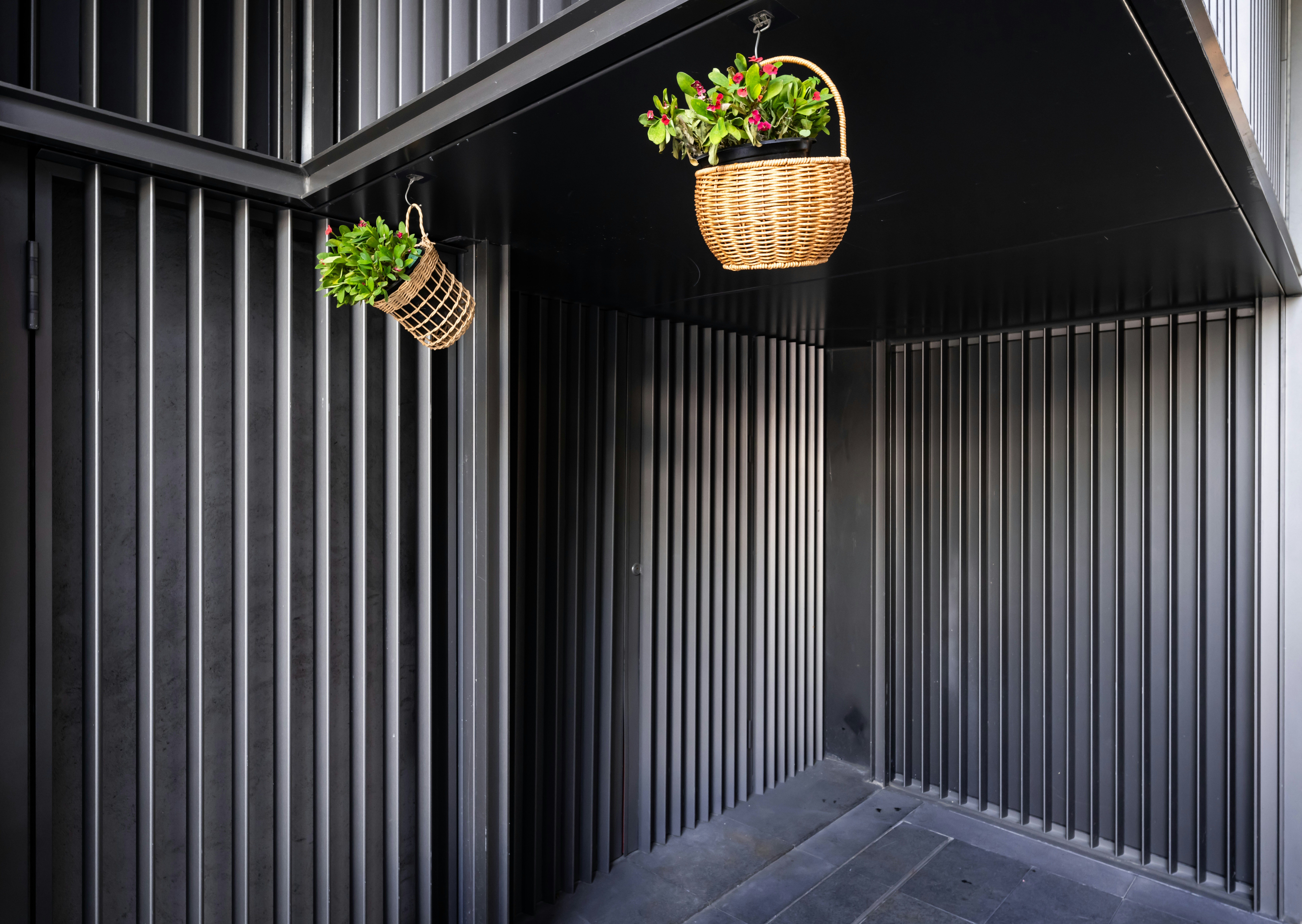 Photo by Declan Sun with Nikon Z8