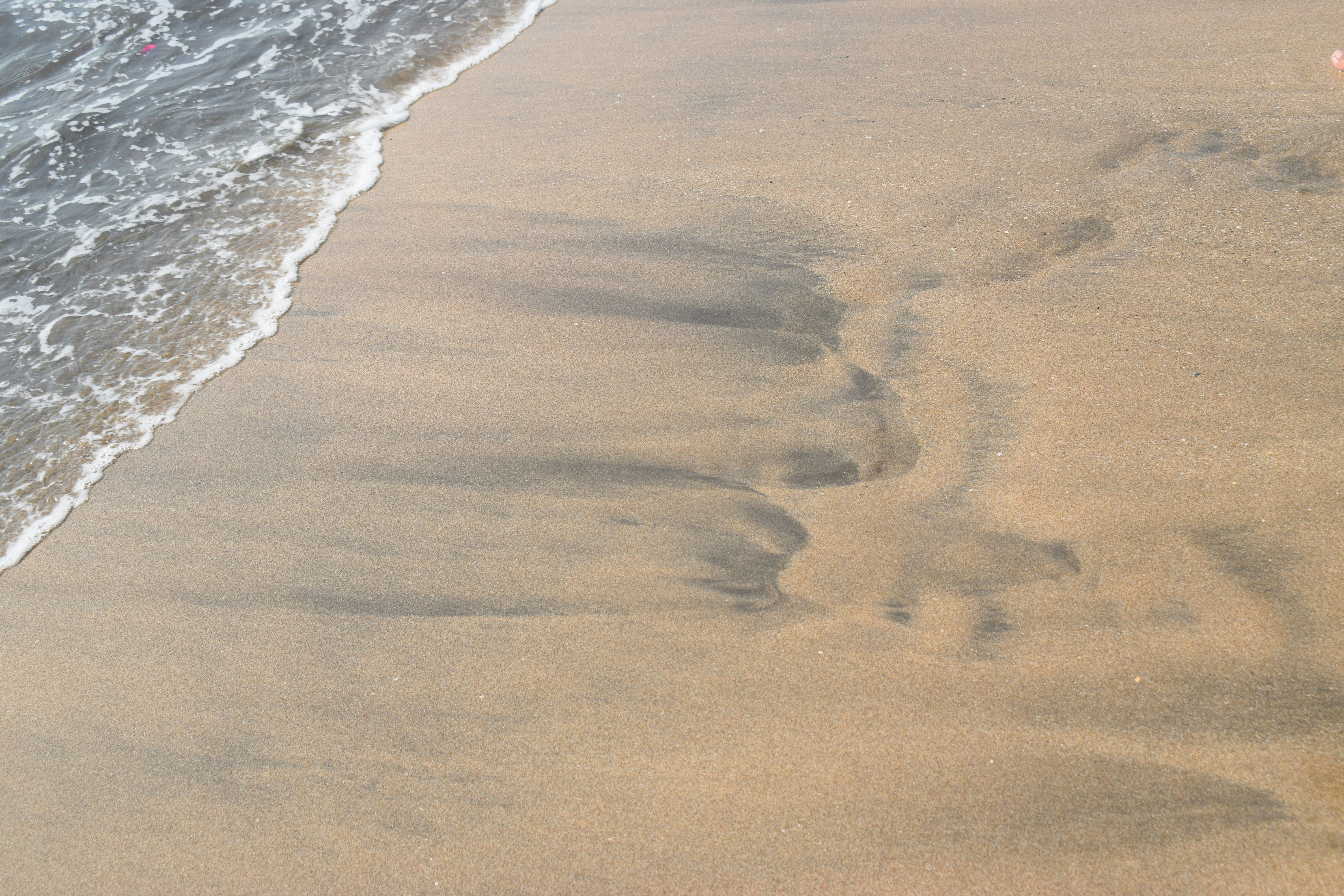 A sandy beach with waves coming in and footprints in the sand photo ...