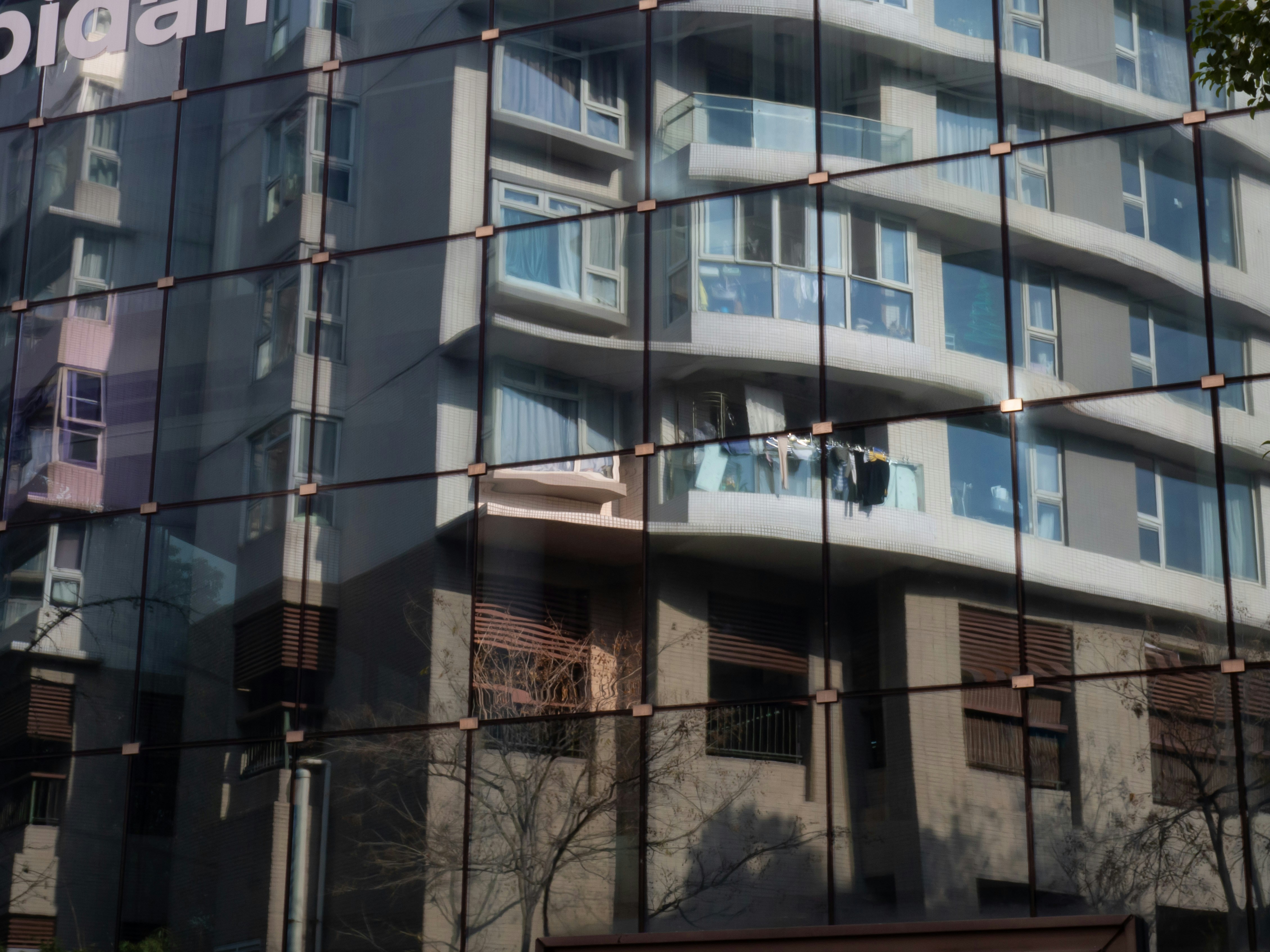 Crosshatch City: Reflections in a Segmented Glass Facade