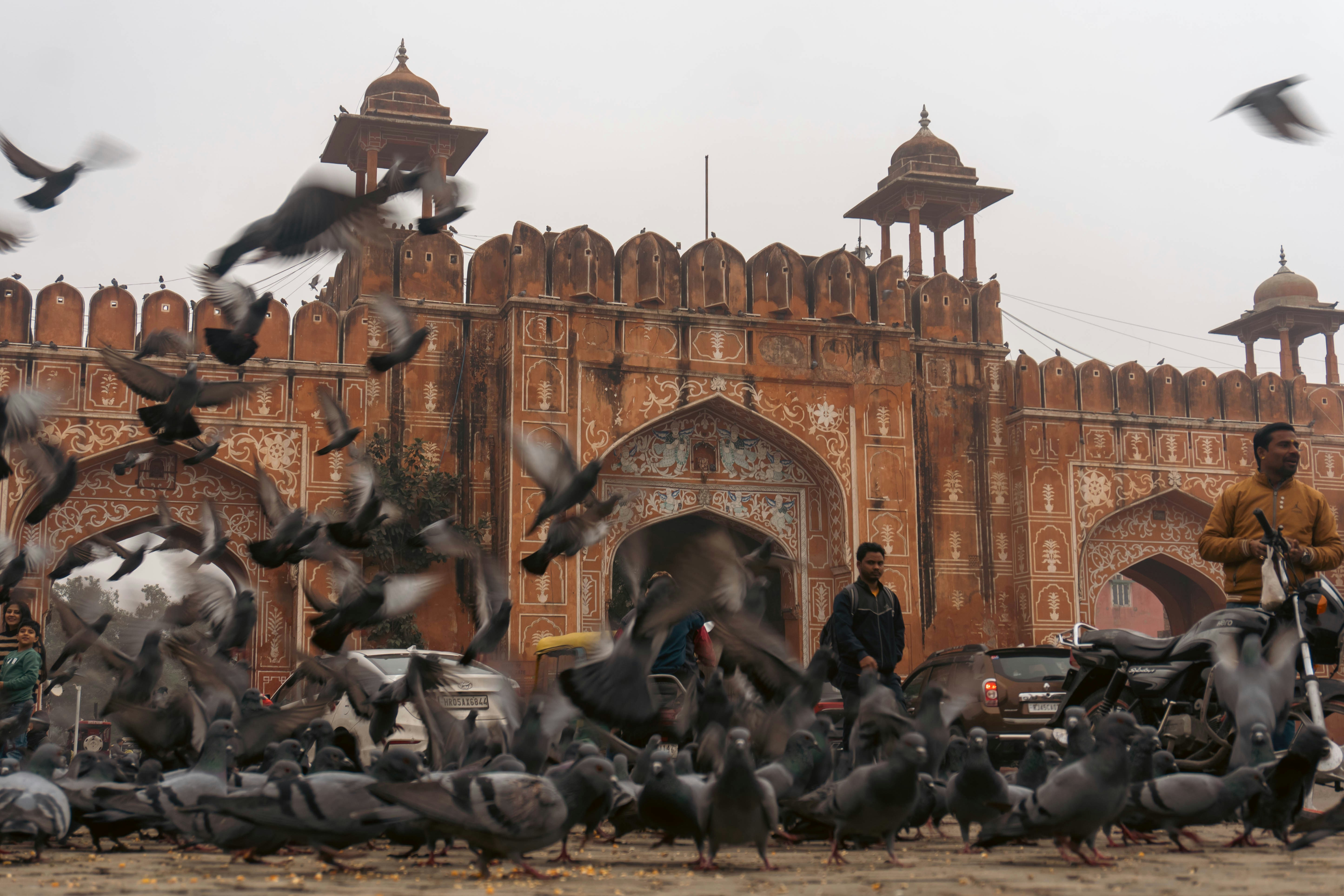 Flock of pigeons taking flight in front of an ornate, historical gate with domed towers under an overcast sky.
