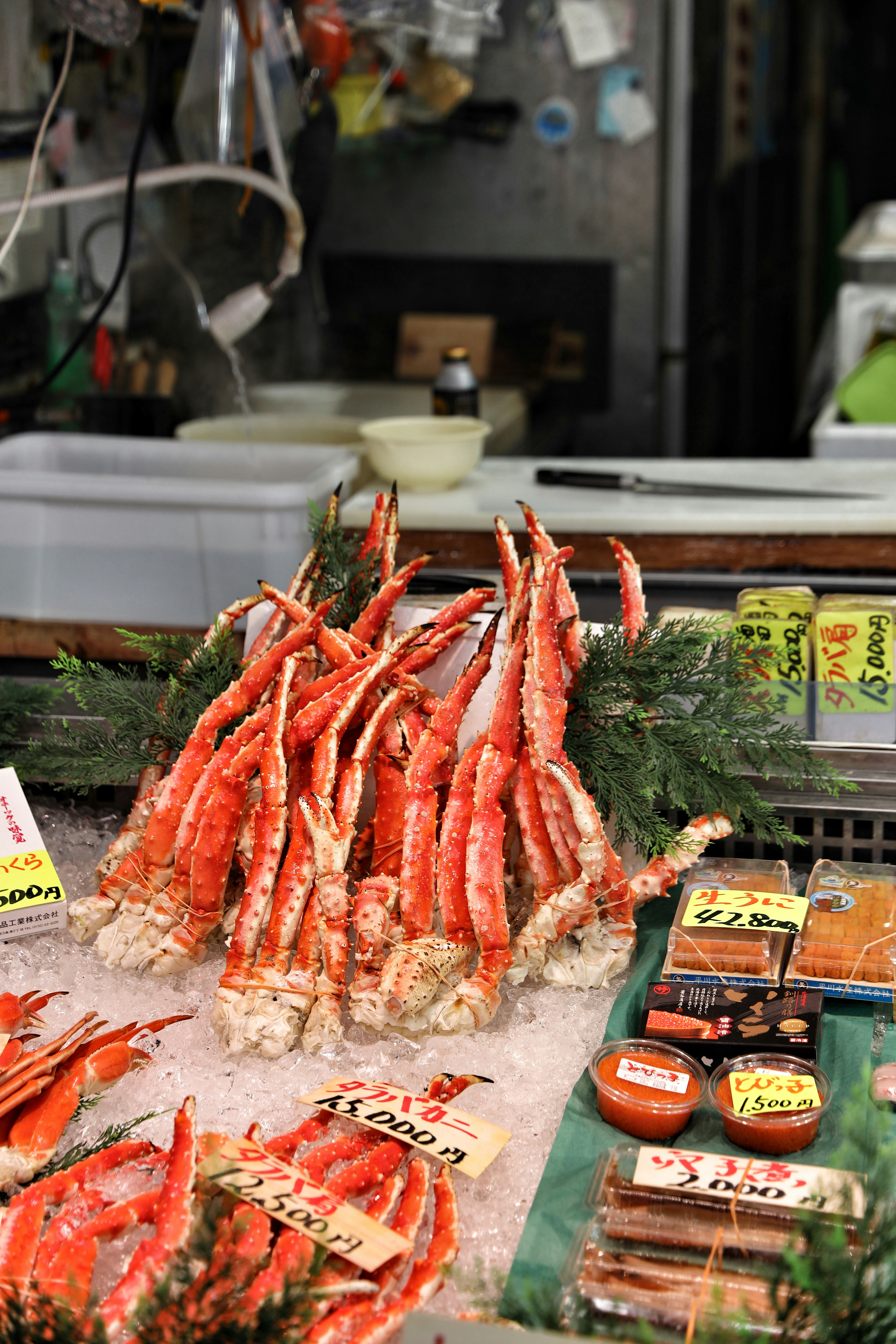 A bunch of crabs are on display in a market photo – Free Tokyo Image on ...