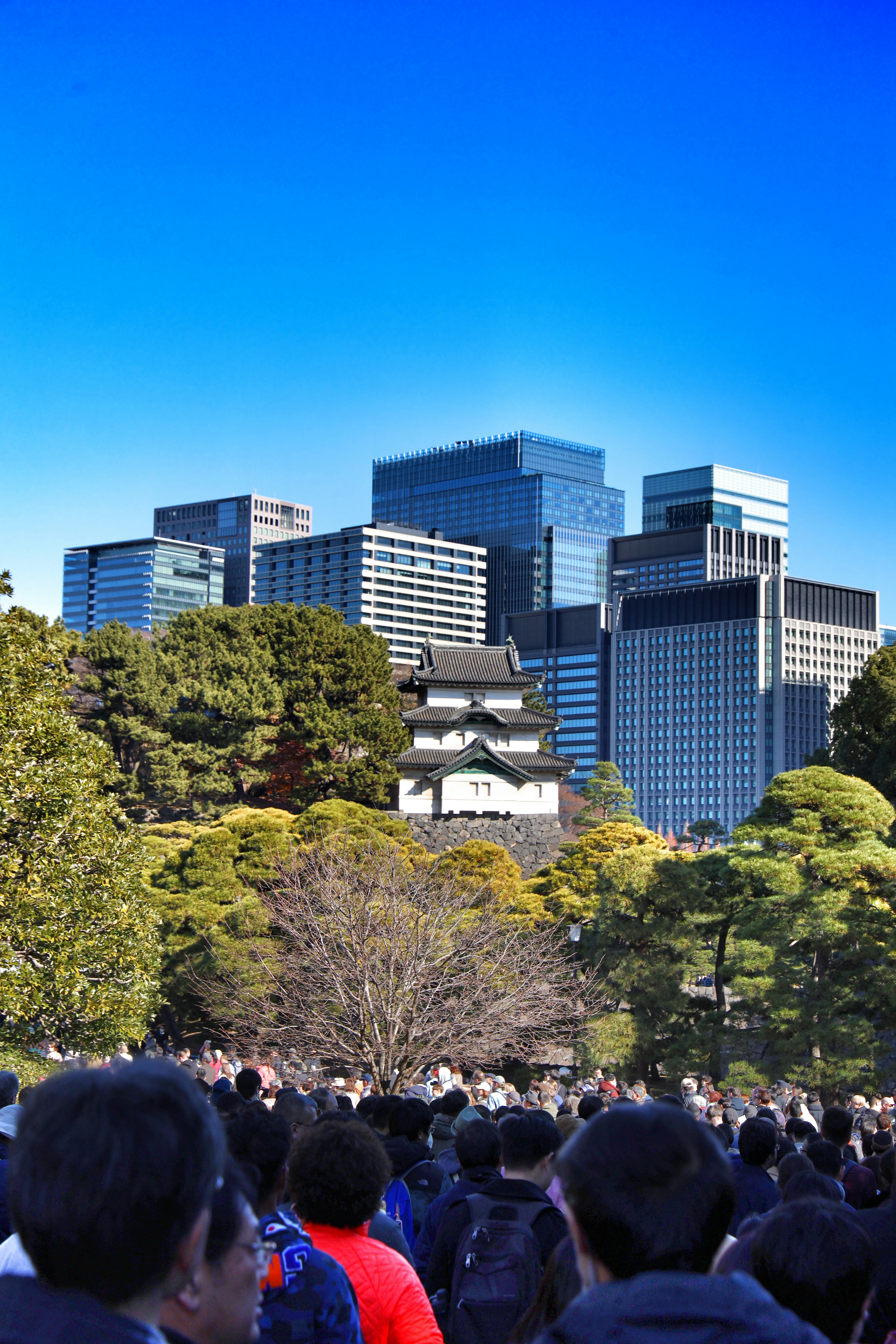 Crowd gathered in front of a historic castle juxtaposed against a backdrop of sleek skyscrapers. The scene reflects the blend of old and new architecture in an urban landscape.