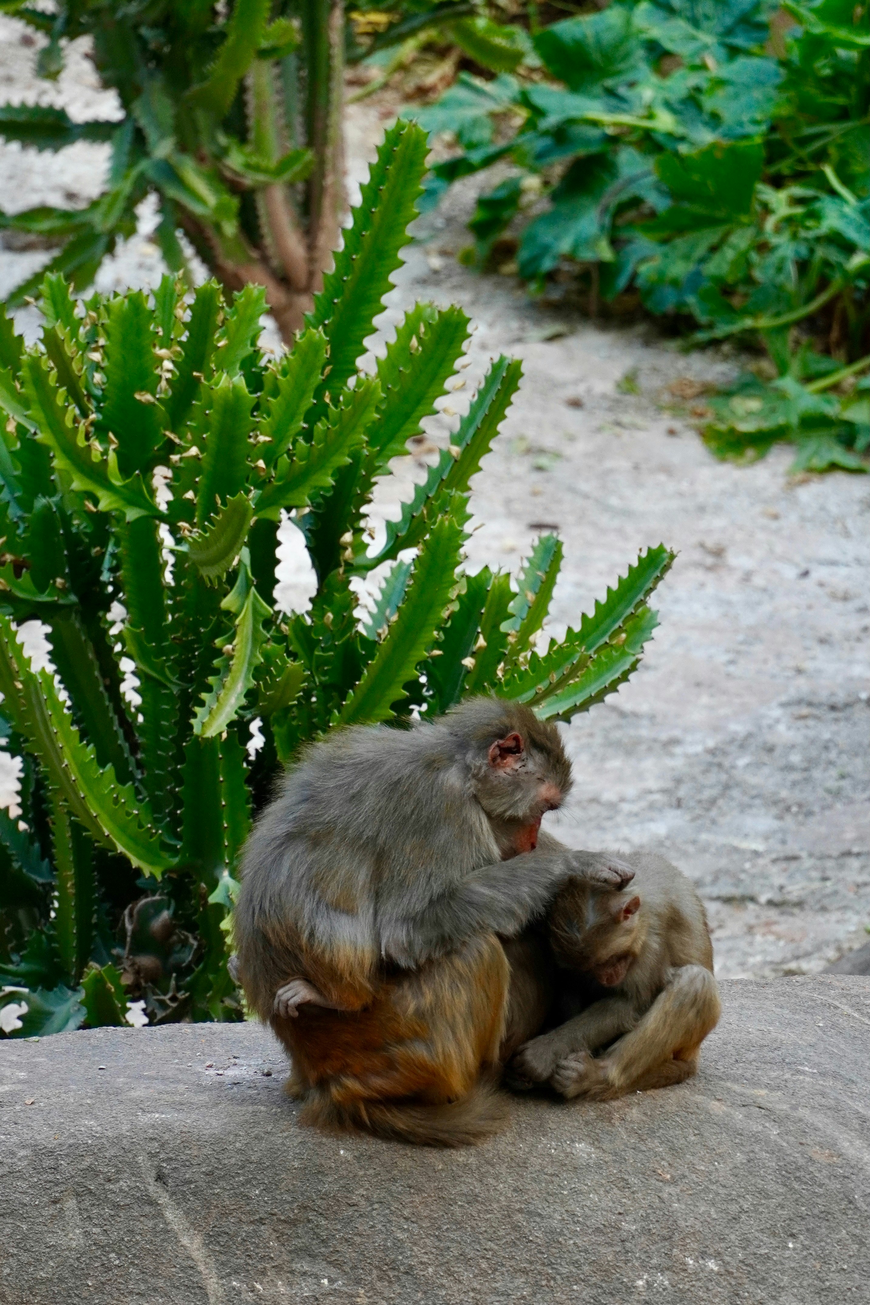 Photo by Sylvia Lyu with Sony Alpha 6400