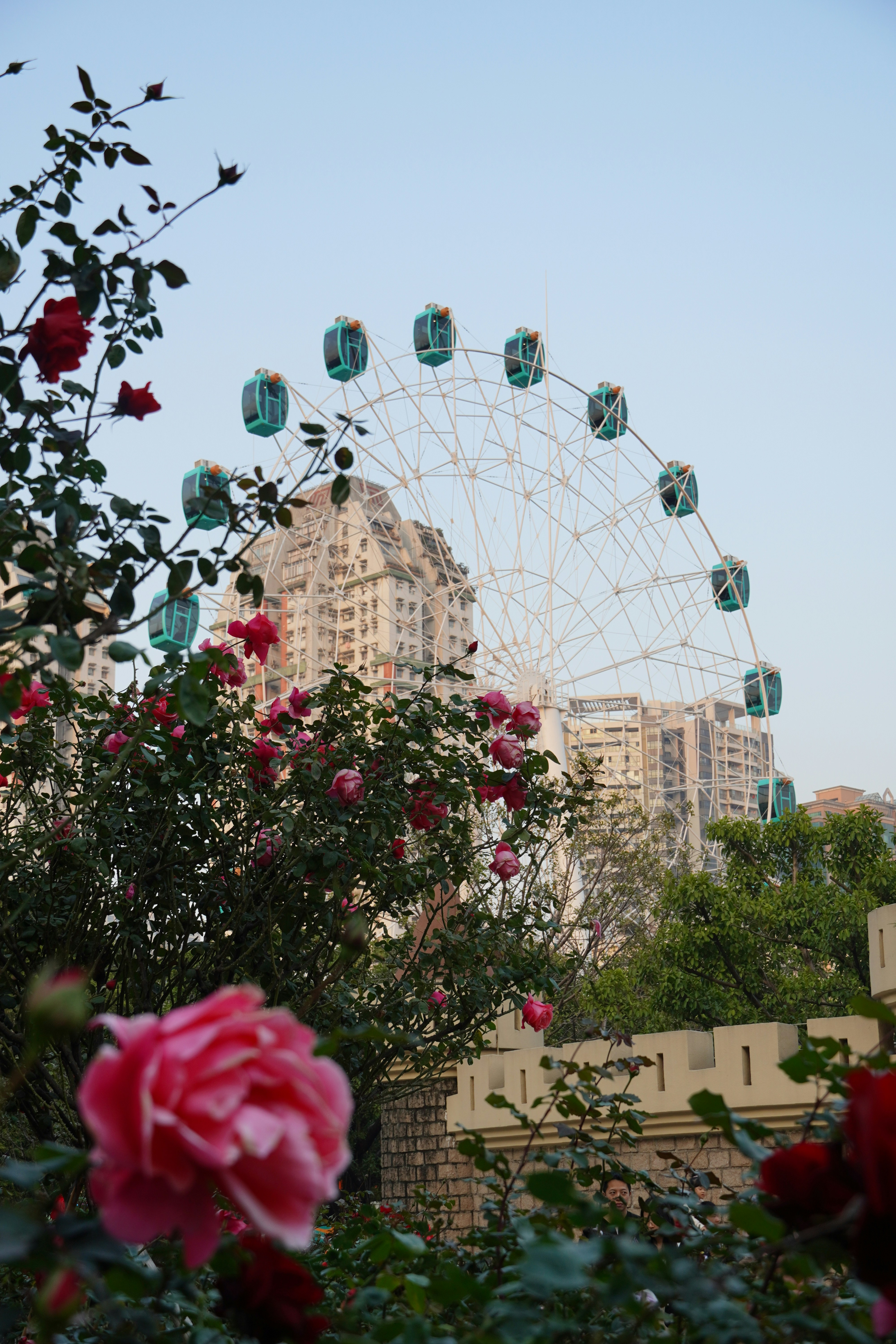 Rose-Framed Ferris Wheel Over a City Garden